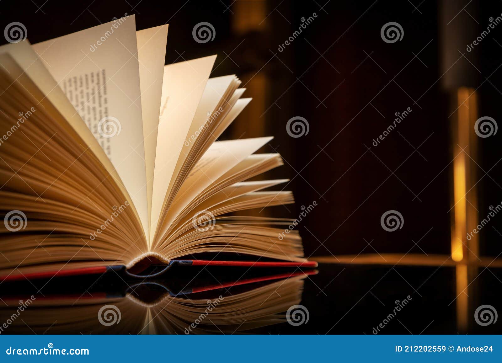 Open book stock image. Image of read, knowing, diary - 212202559