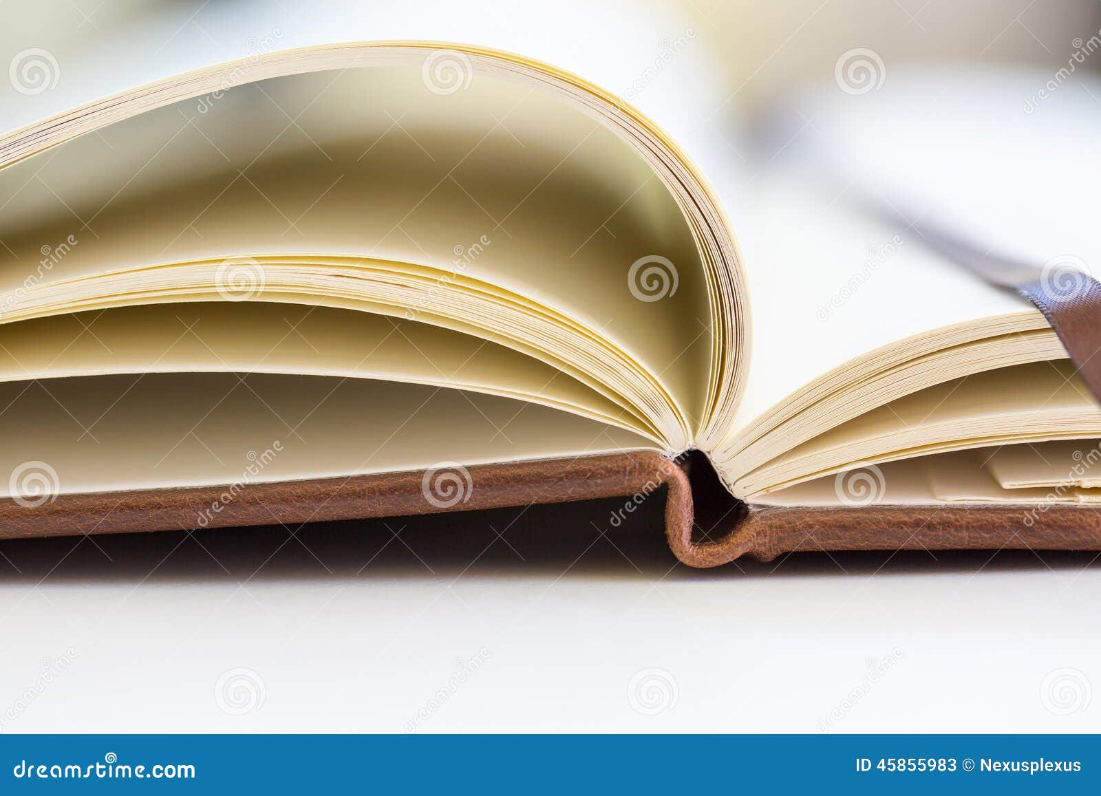 Close Up on Open Book Pages Stock Image - Image of curve, line: 45855983