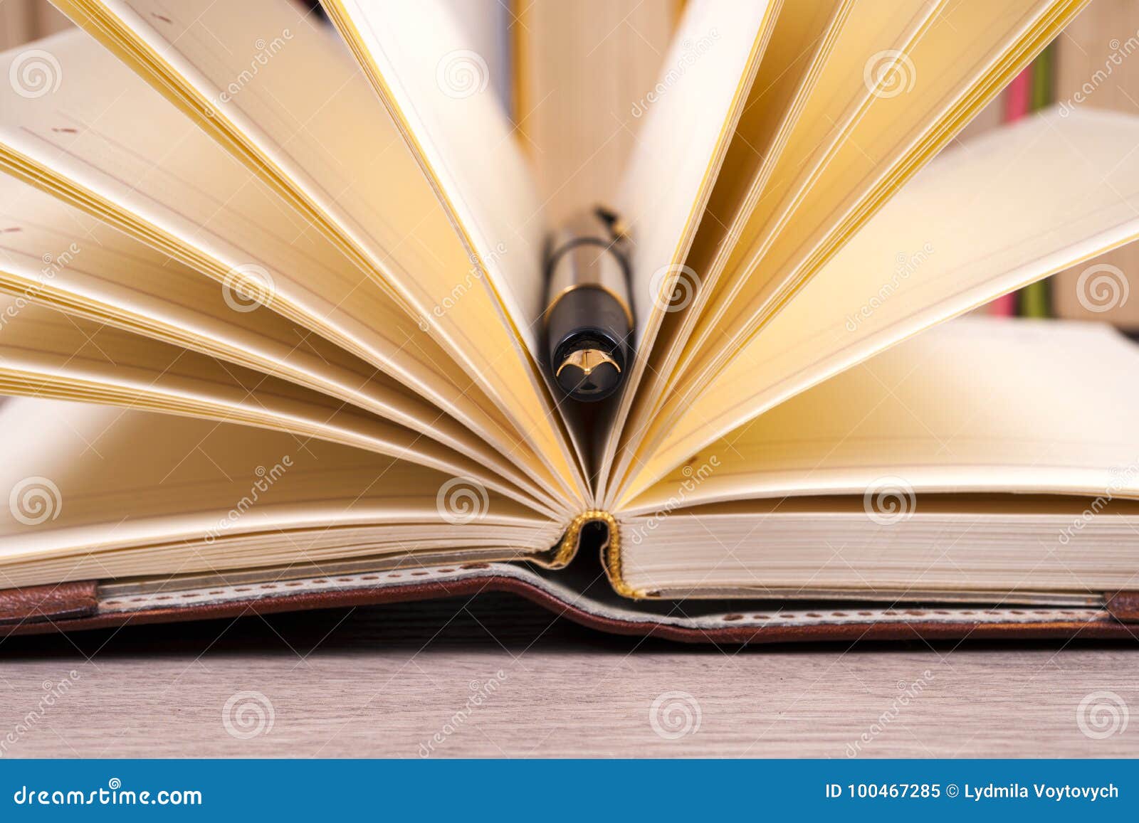 Close-up of Open Book and Pen. Stock Image - Image of agenda, legal ...