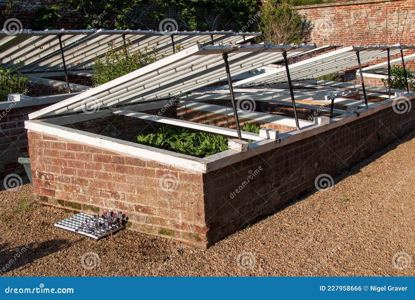 Close Up of Open Cold Frames with Mixture of Plants Stock Photo - Image ...