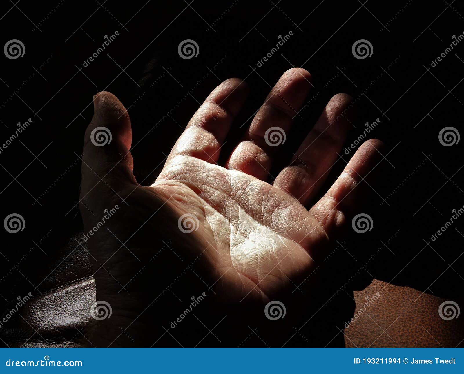 Close-Up of Open Human Hand Stock Photo - Image of fresh, handshake ...