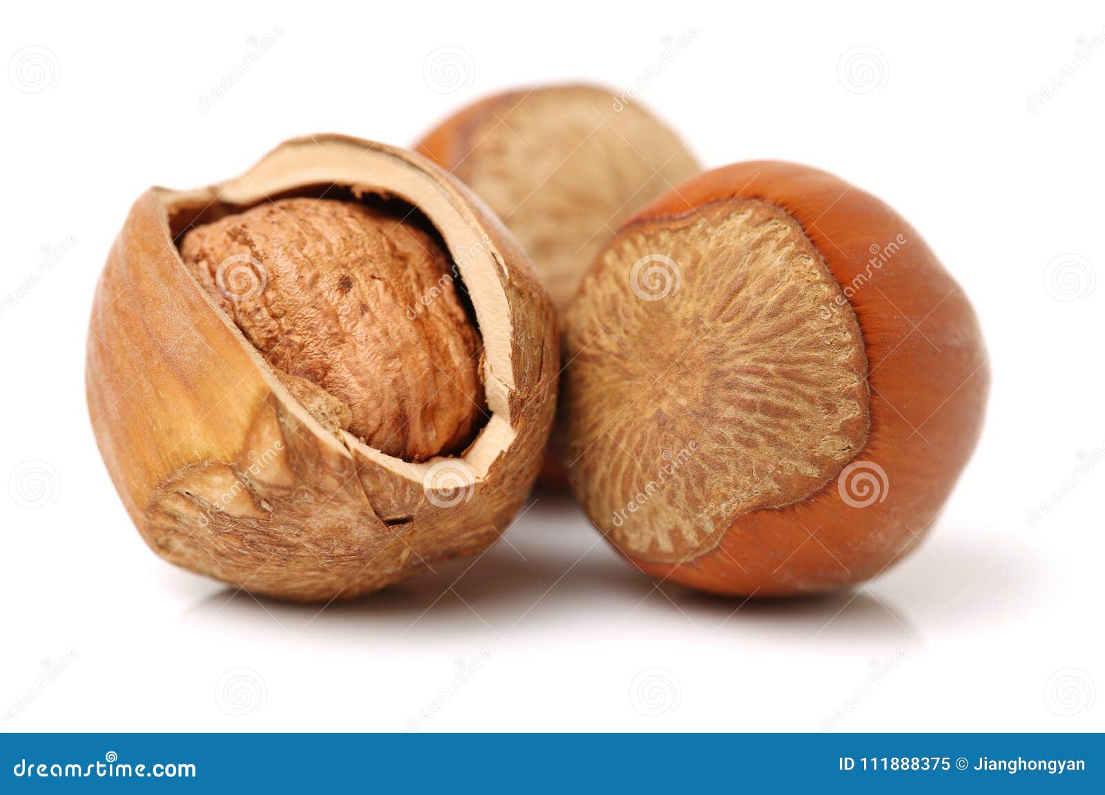 Close up open hazelnut stock image. Image of edible - 111888375