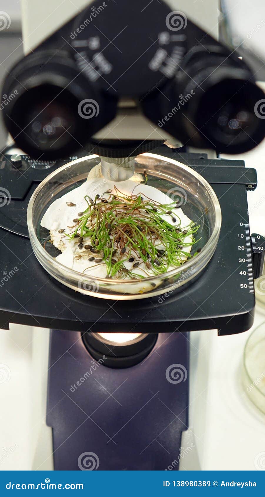 Close-up of Optical Microscope for Laboratory Use. Study of Seeds Stock ...