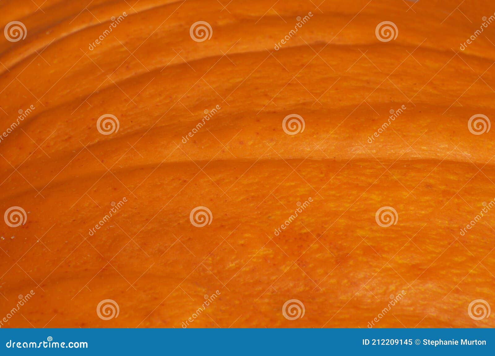 Smooth Texture of Orange Pumpkin Skin Close Up Background Stock Image ...