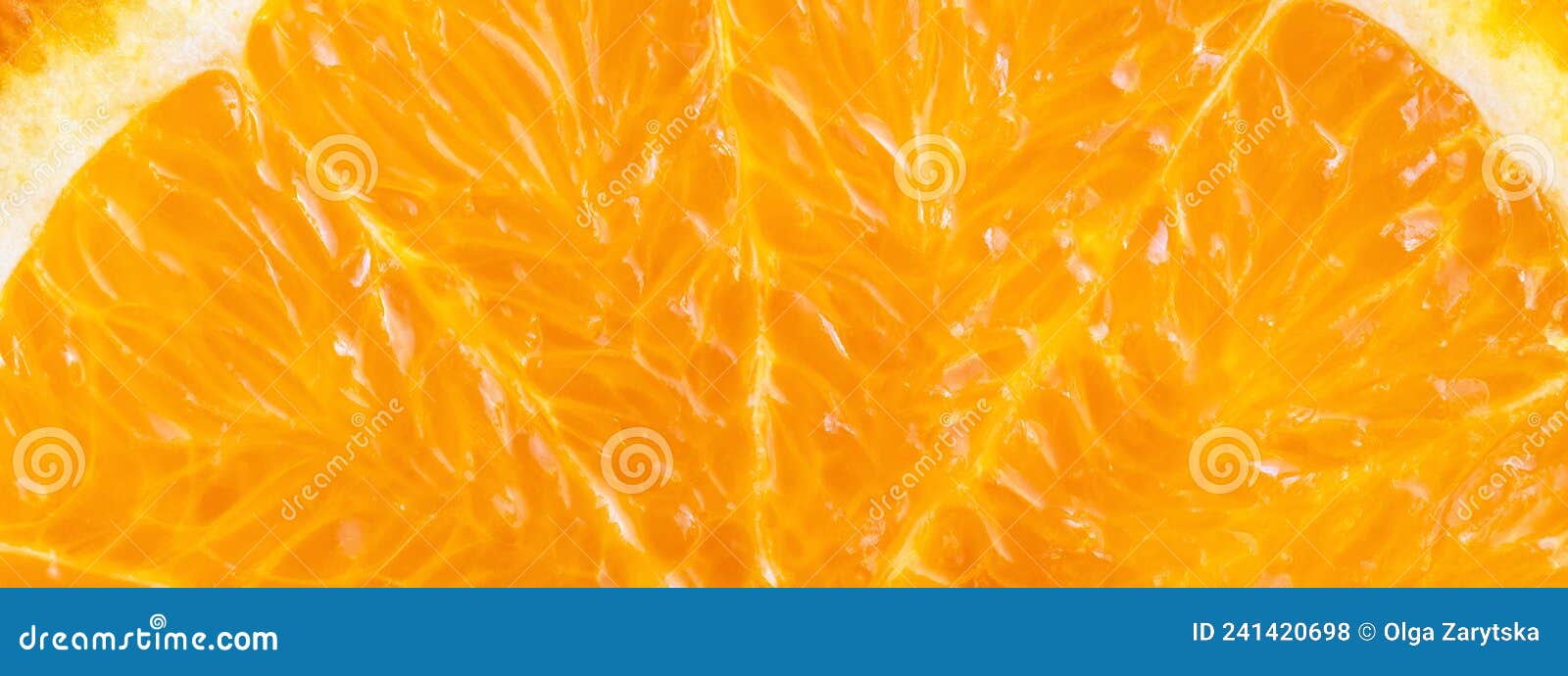 Orange in section. stock photo. Image of juicy, citrus - 241420698