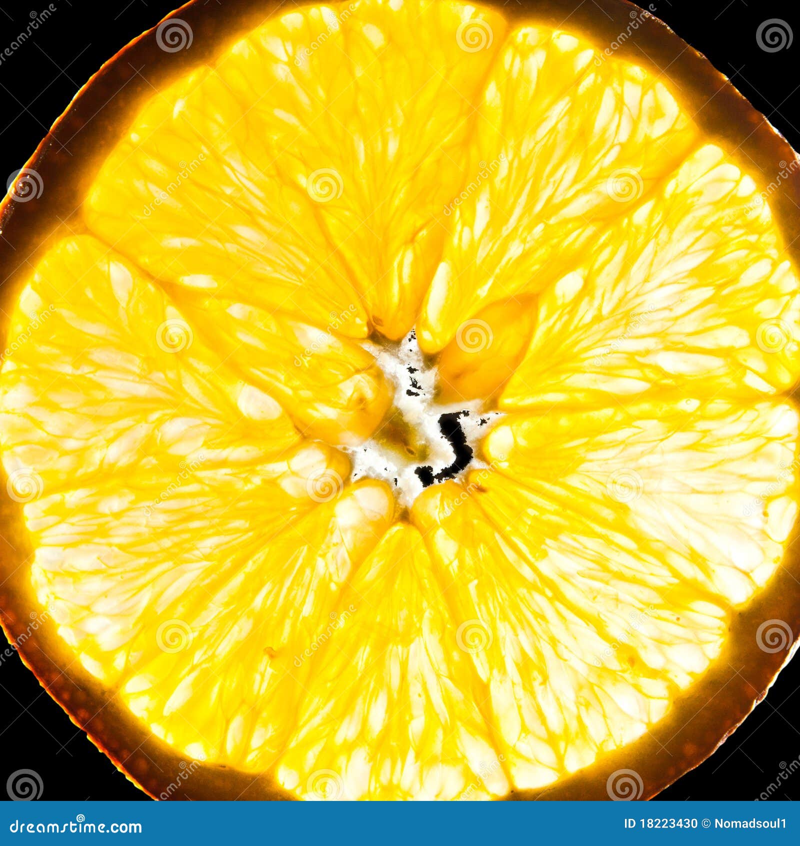 Close-up of orange slice stock photo. Image of juice - 18223430