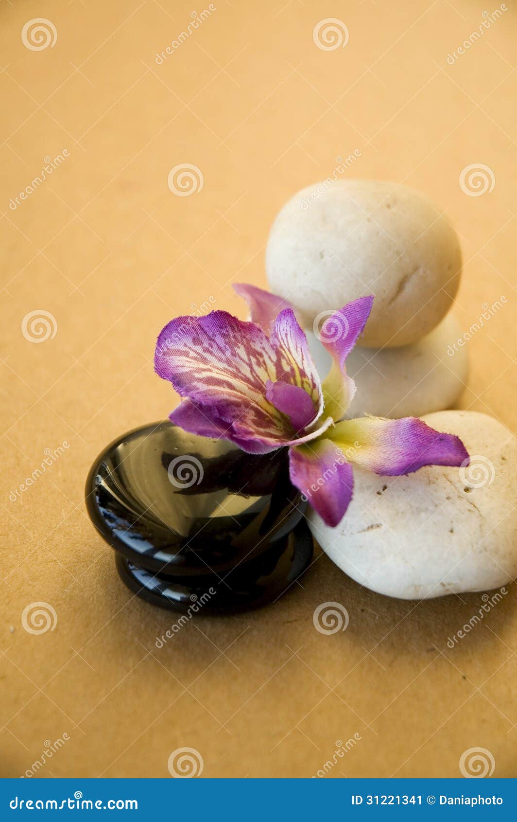Close up orchid on stone stock image. Image of stone - 31221341