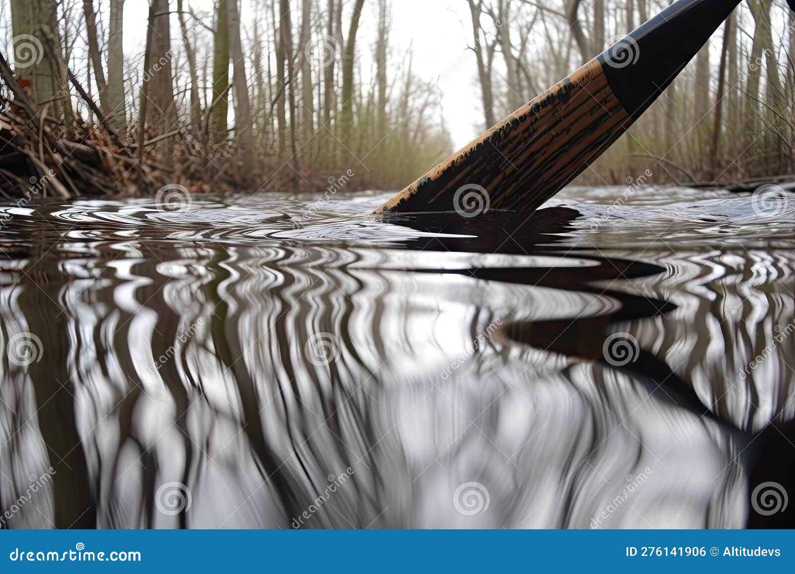 Close-up of Paddle Slicing through Water, with Reflection of Trees ...