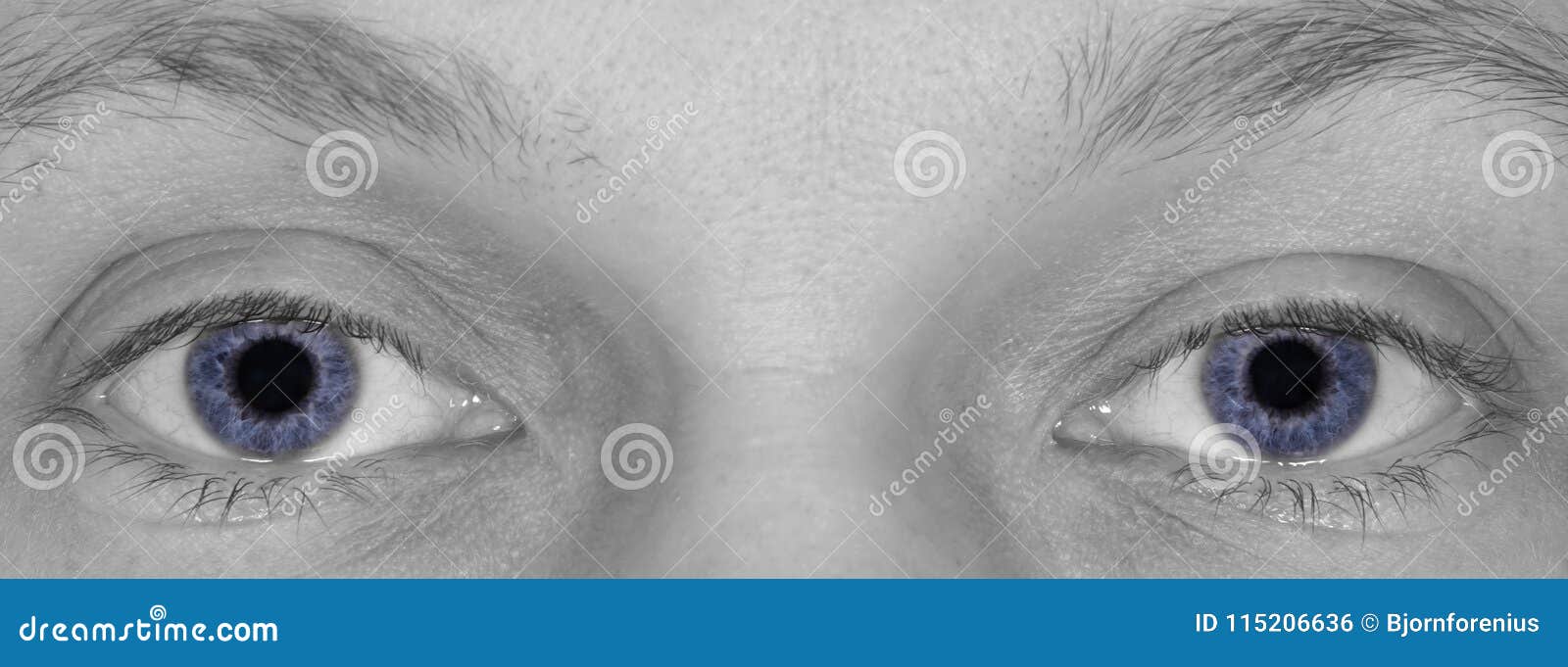 Pair Human Blue Eyes Photos - Free & Royalty-Free Stock Photos from ...