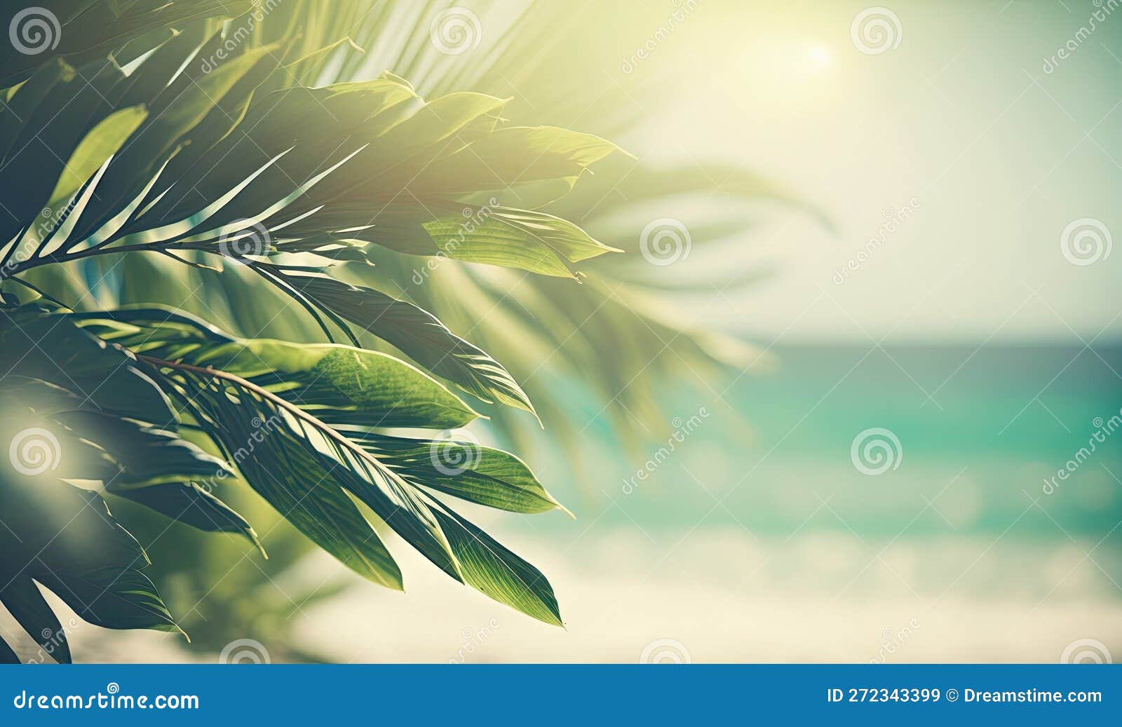 A Close Up of a Palm Leaf on a Beach with the Ocean in the Background ...
