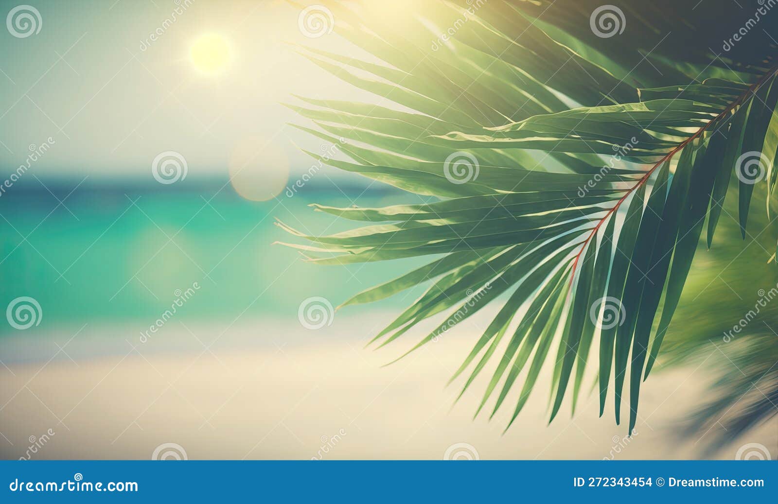 A Close Up of a Palm Leaf on a Beach with the Sun in the Background ...