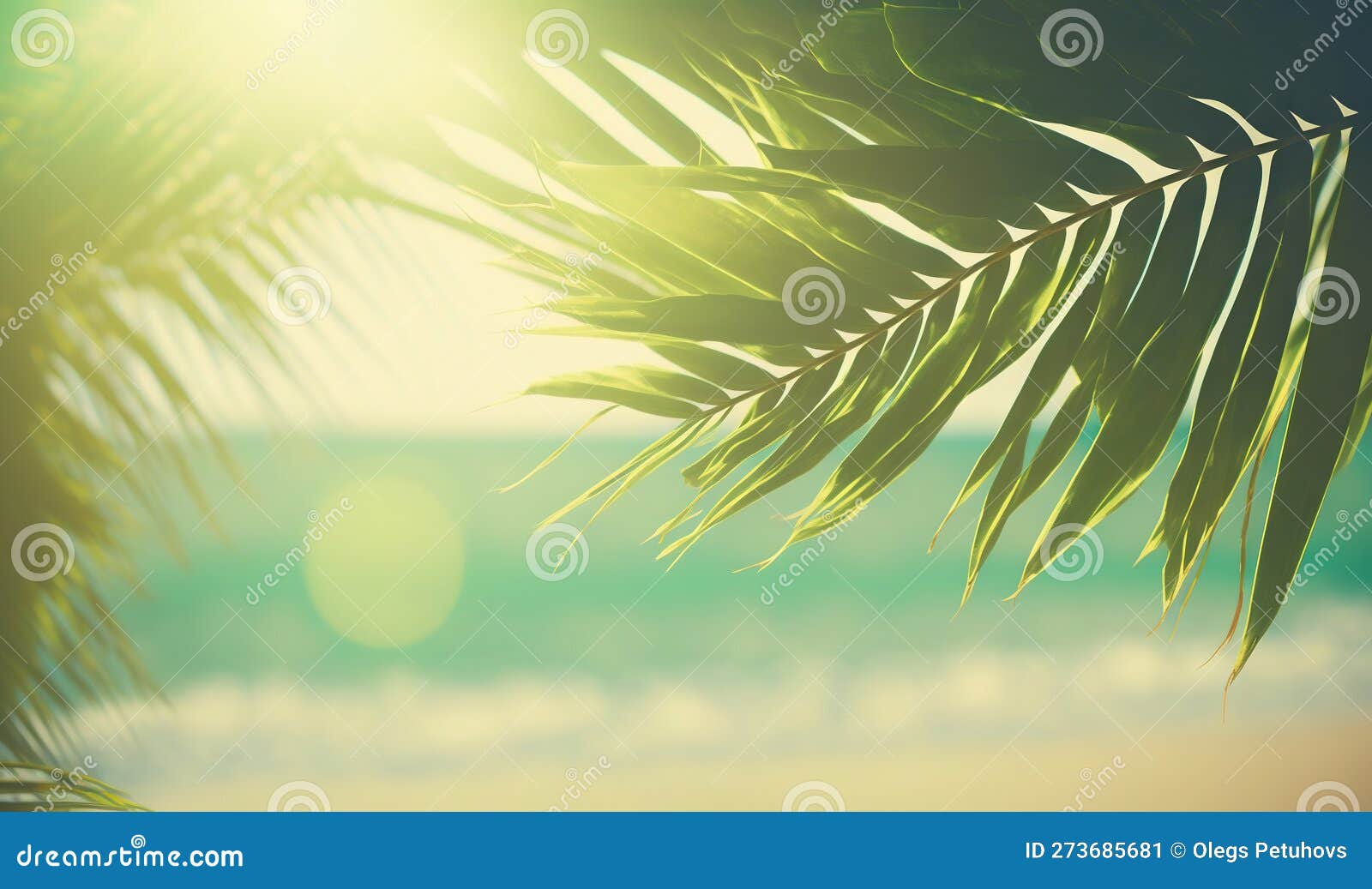 A Close Up of a Palm Tree Branch on a Beach Stock Illustration ...