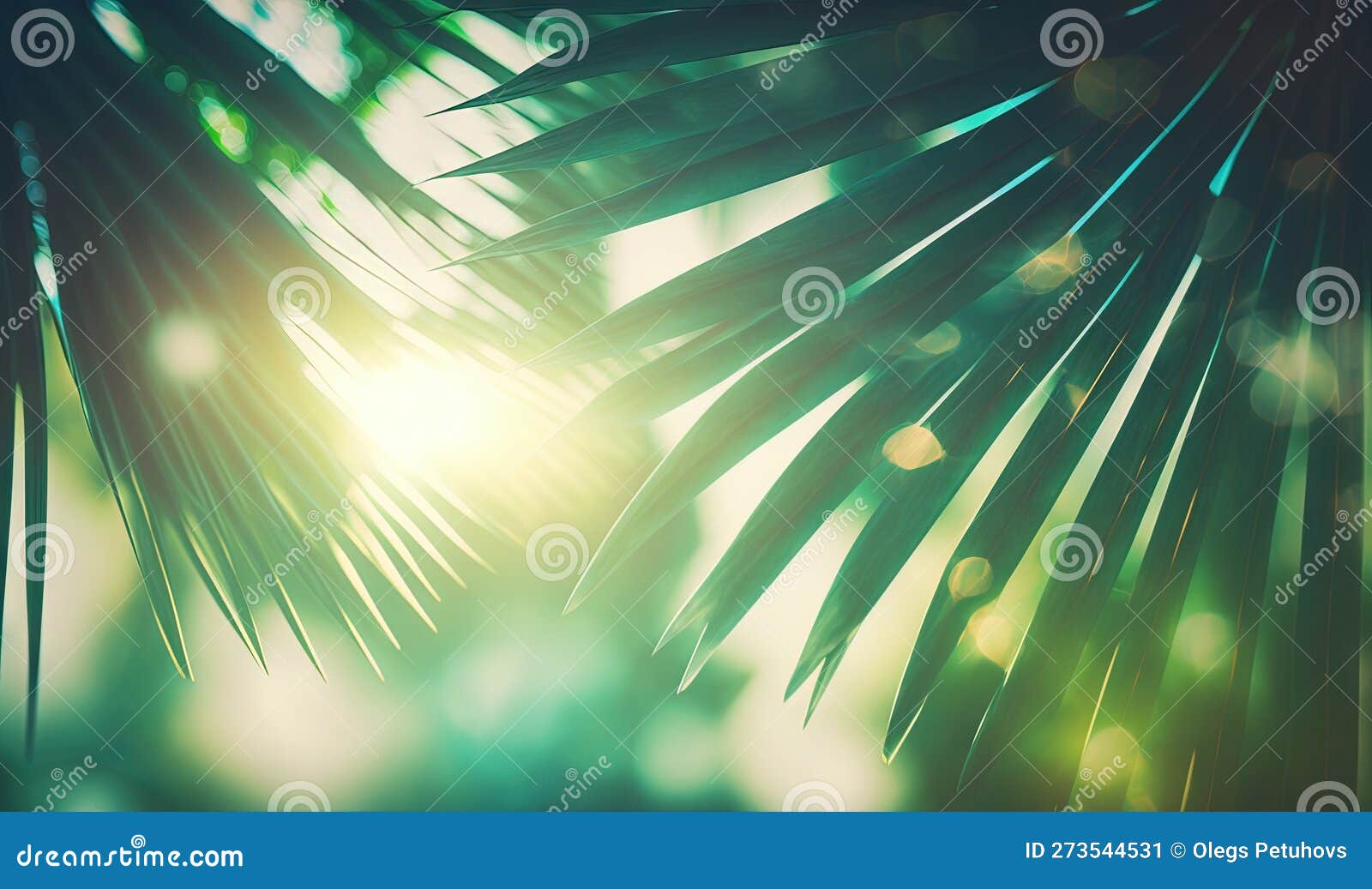 A Close Up of a Palm Tree with the Sun in the Background Stock Image ...