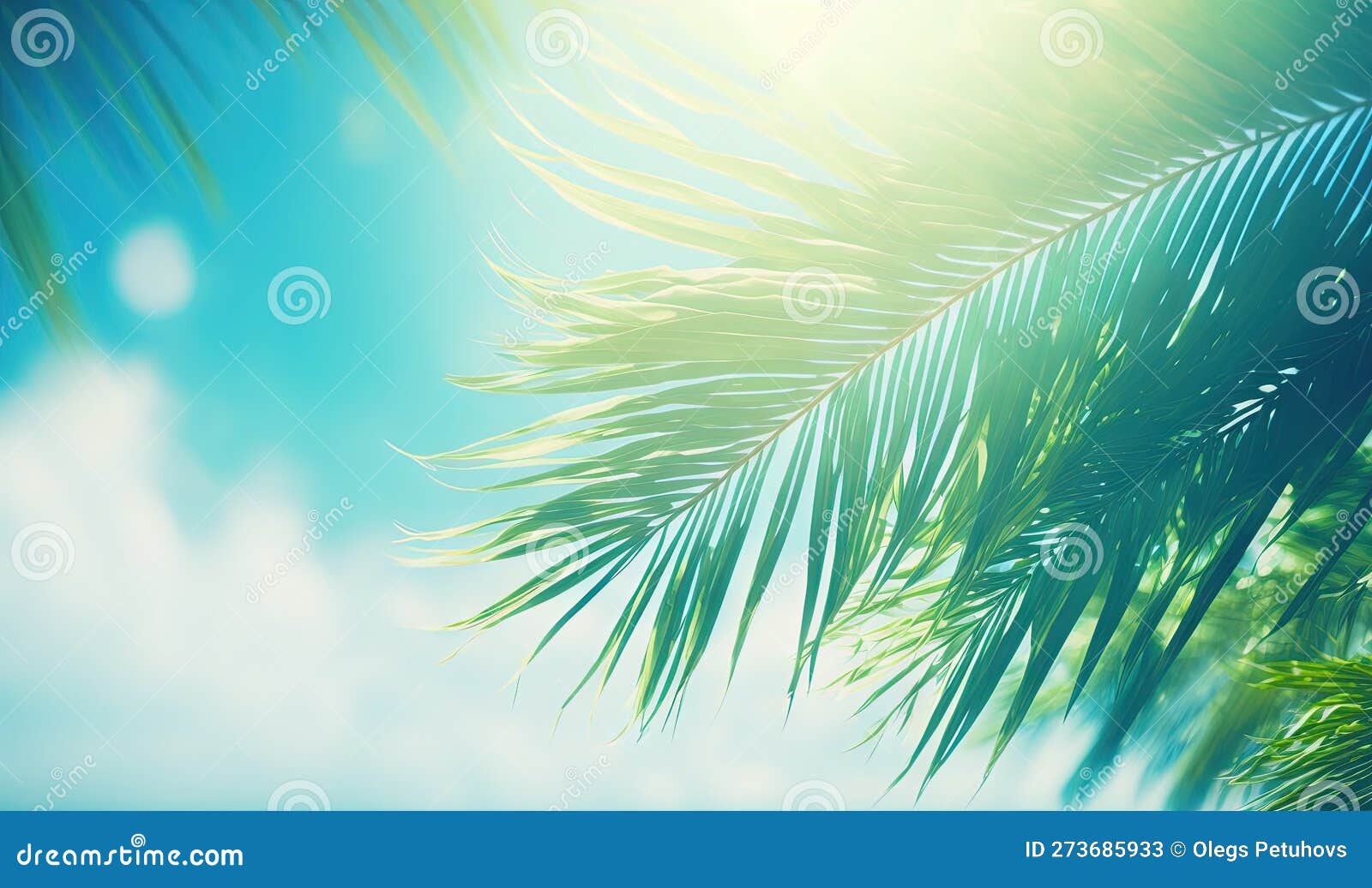 A Close Up of a Palm Tree with the Sun Shining Stock Image - Image of ...