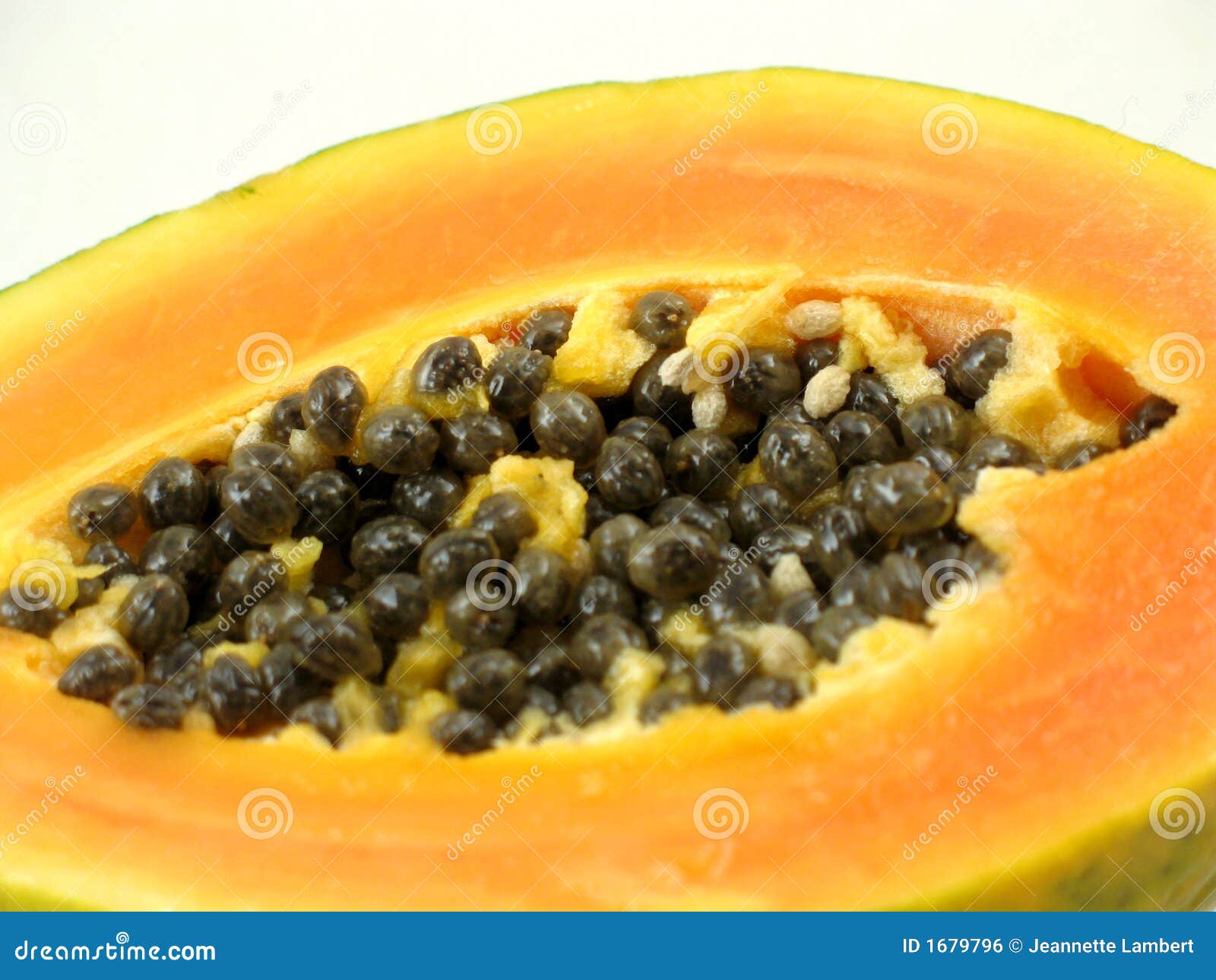 Close-up of Papaya Seeds on White Stock Photo - Image of grain, white ...