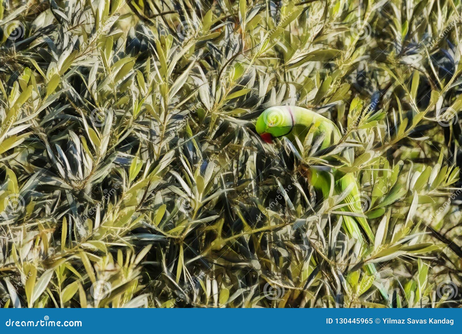 Close Up Parrot on Green Leaves Stock Illustration - Illustration of ...