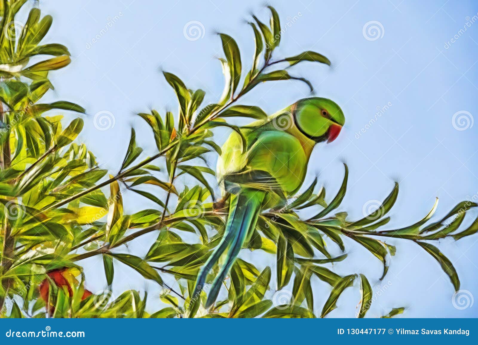 Close Up Parrot on Green Leaves Stock Image - Image of bright, macaw ...