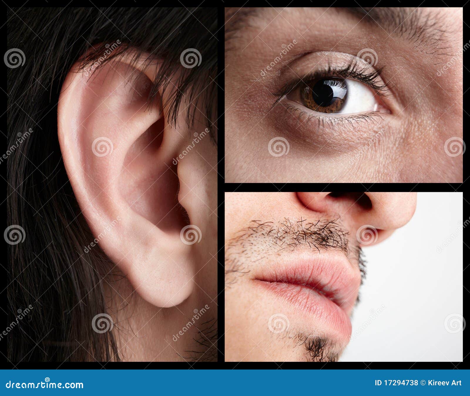 Close-up Part of the Face. Macro Collage Stock Photo - Image of eyelid ...