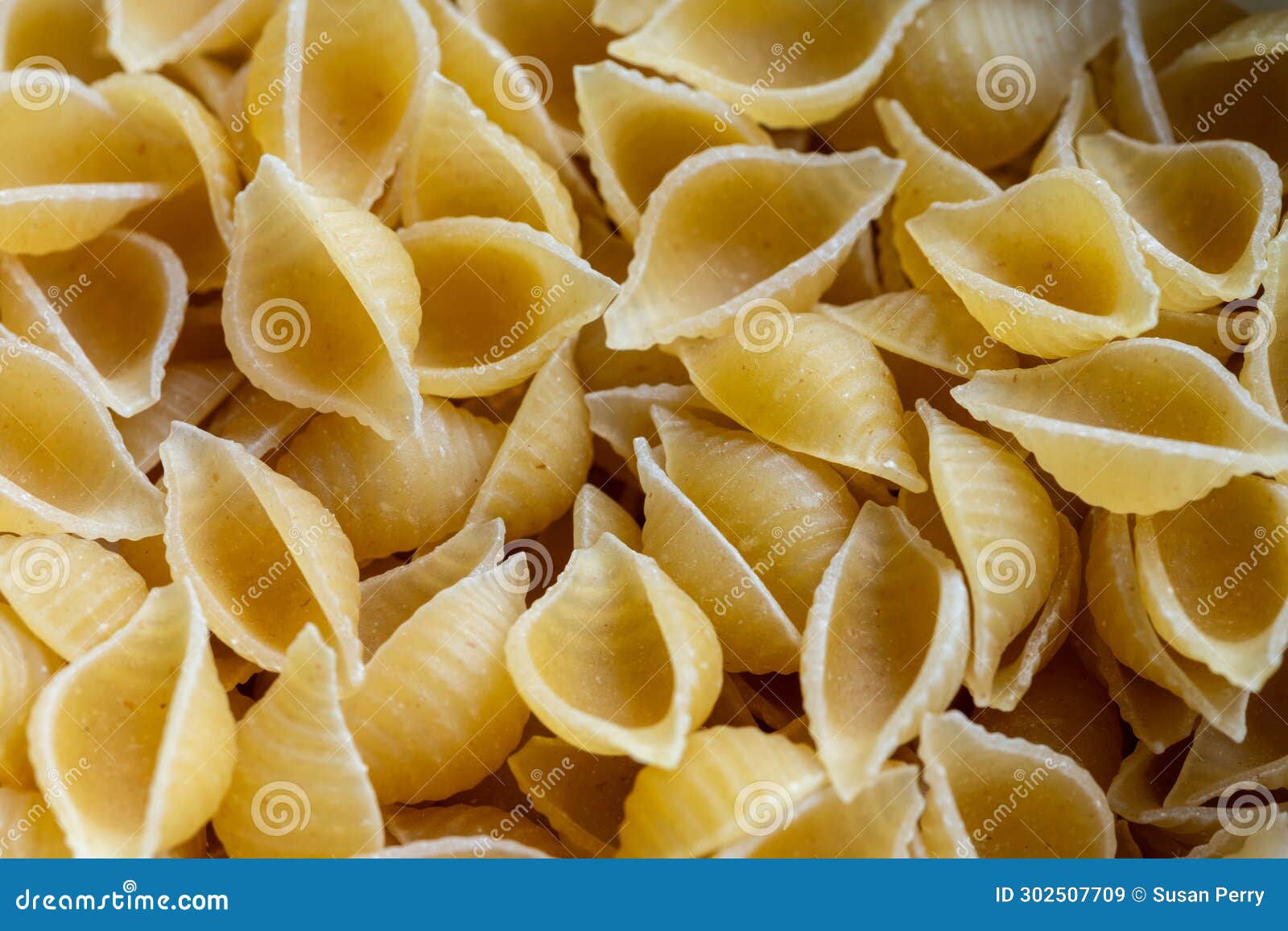 Close Up of Pasta Shells Wallpaper Stock Image - Image of close, shells ...