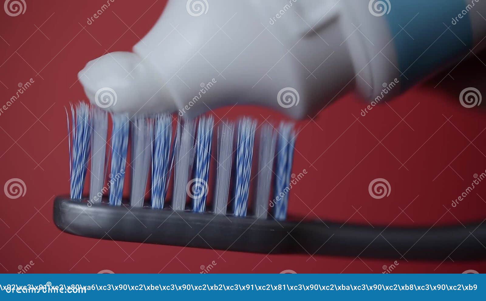 A Close-up Paste is Applied To the Toothbrush Stock Video - Video of ...