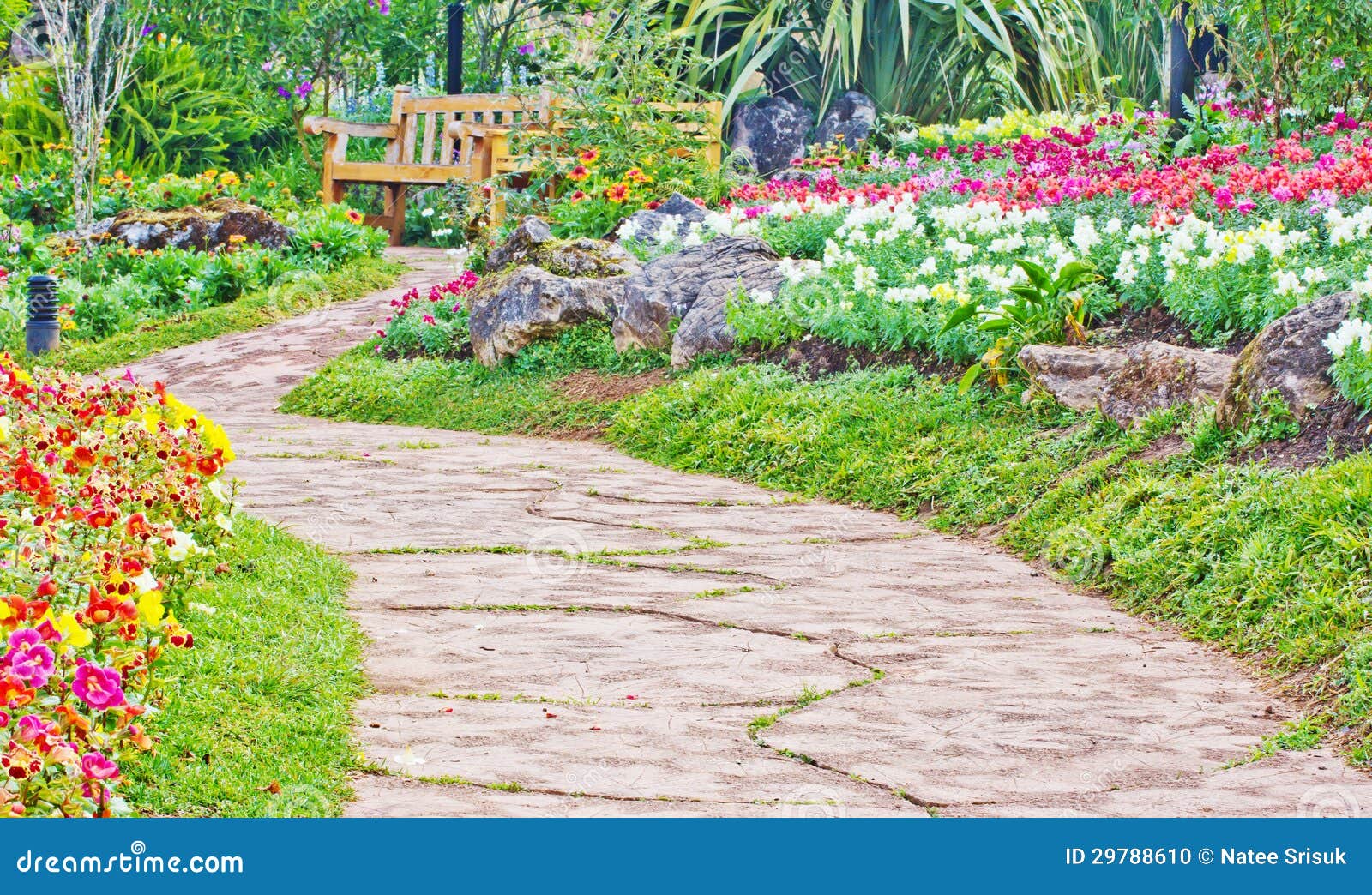 Pathway in the garden stock photo. Image of pink, colourful - 29788610