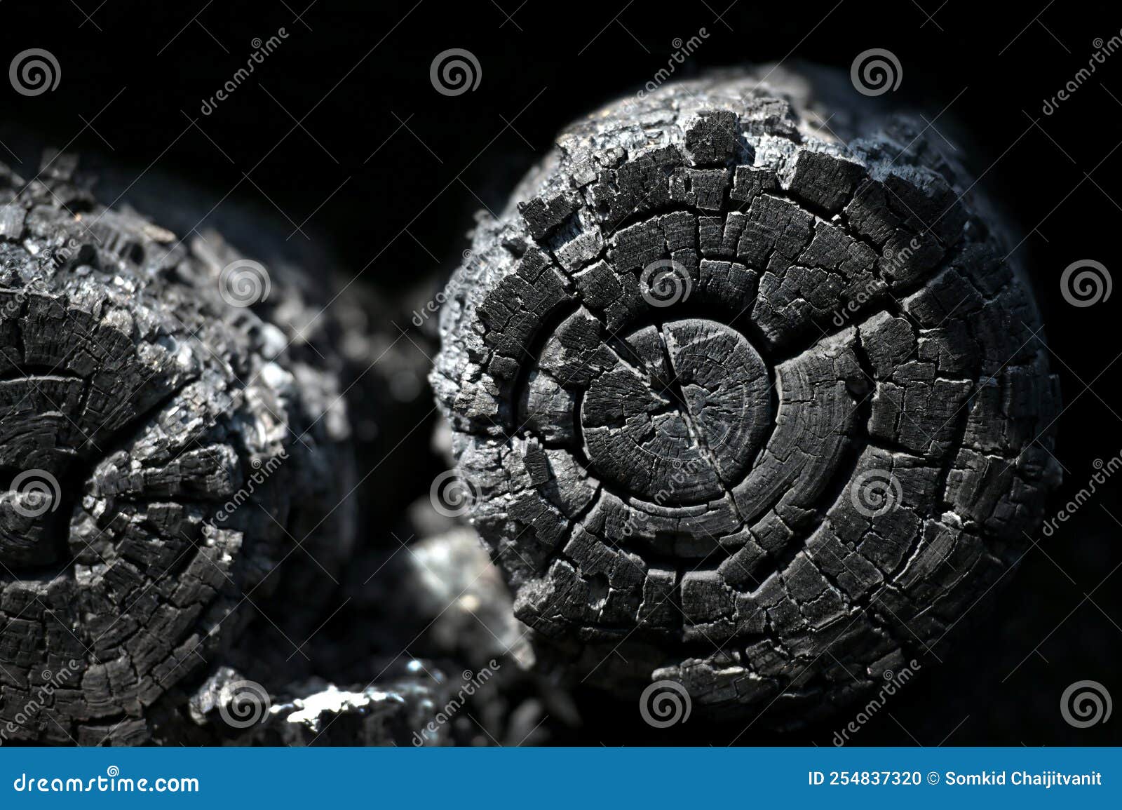 Close-up of a Pattern on a Burnt Log Stock Photo - Image of trunk ...
