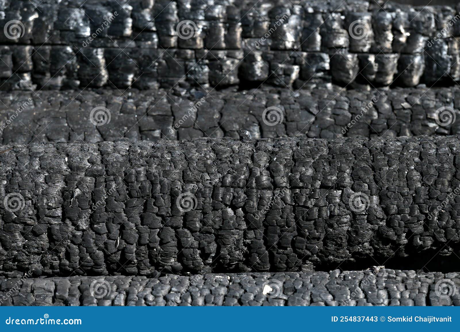 Close-up of a Pattern on a Burnt Log Stock Image - Image of forest ...