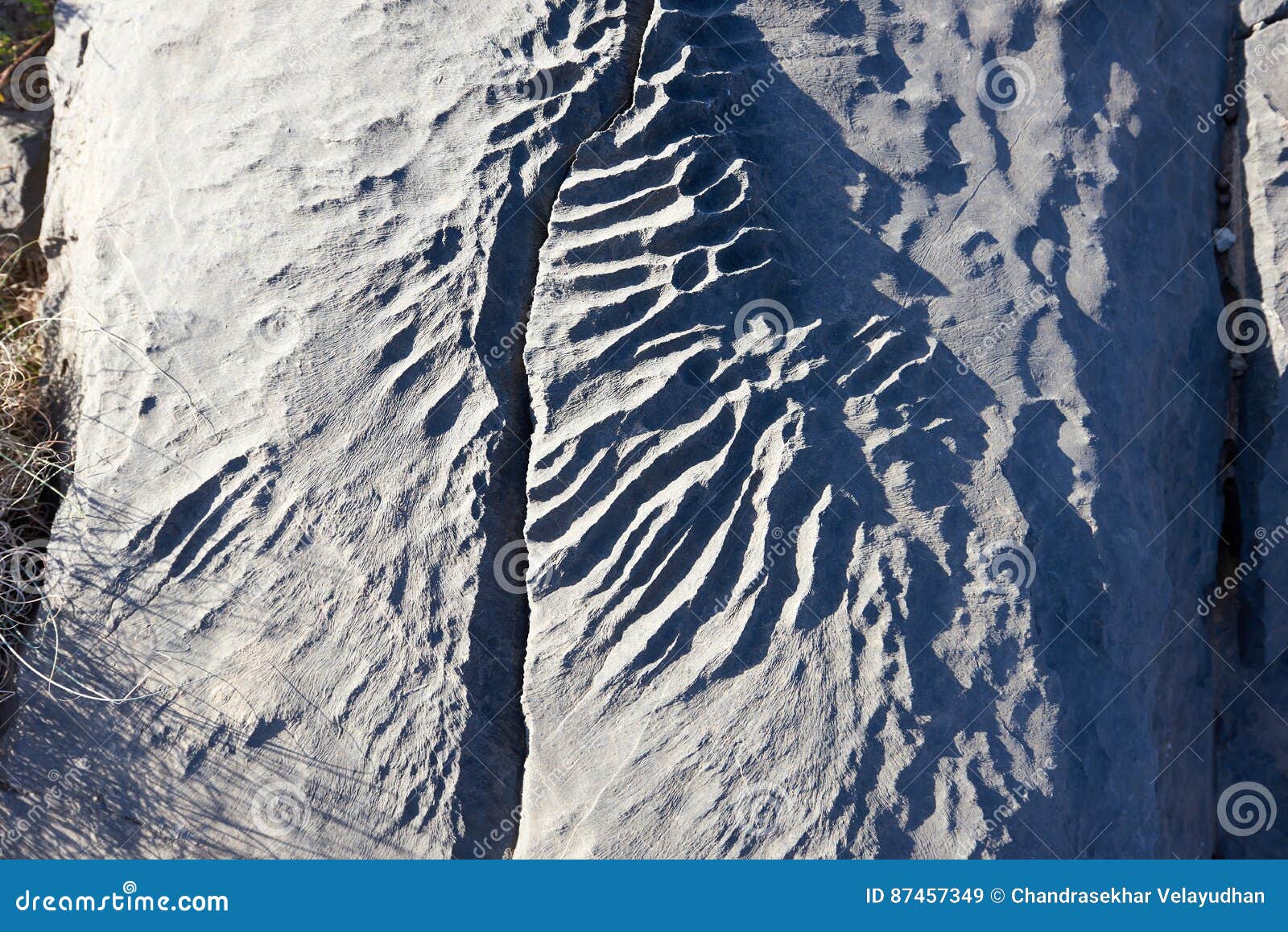 Close Up of Patterns on Rock Stock Image - Image of pattern, rocky ...