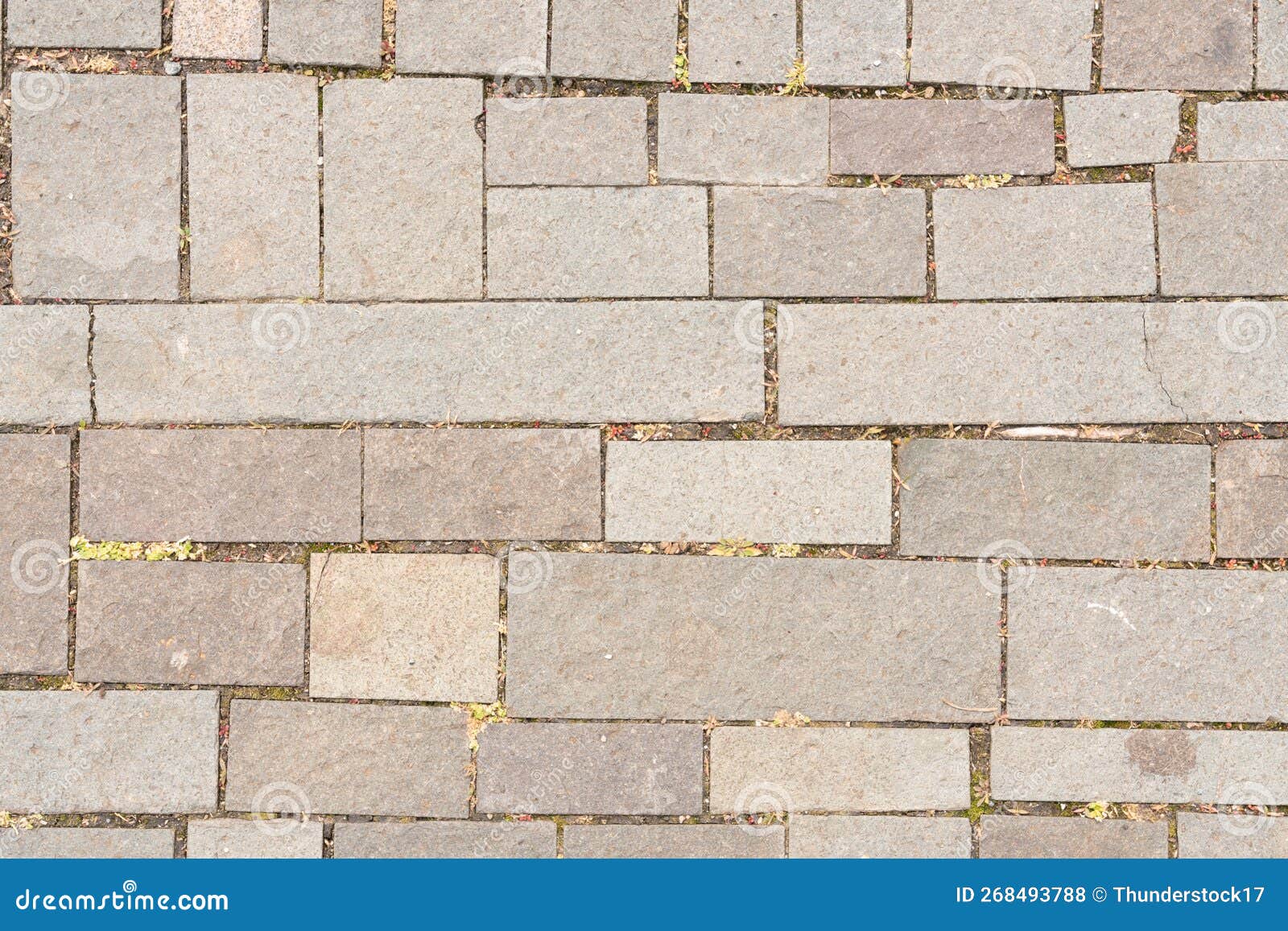 Close-up of Pavement Texture Pattern on Walkway for Wallpaper Stock ...