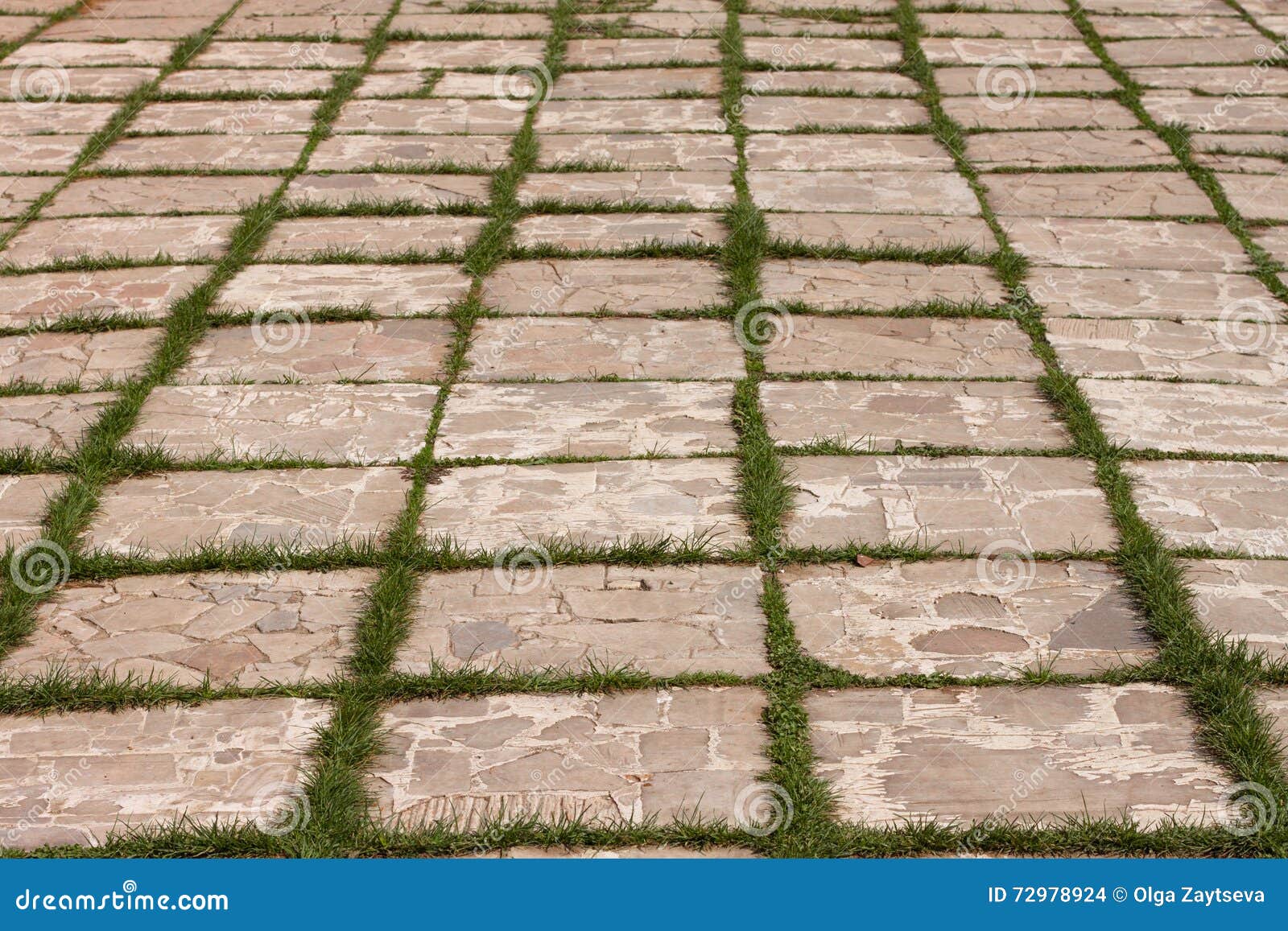 Close-up Paving Slabs Pattern With A Sprouted Grass Stock Photo ...
