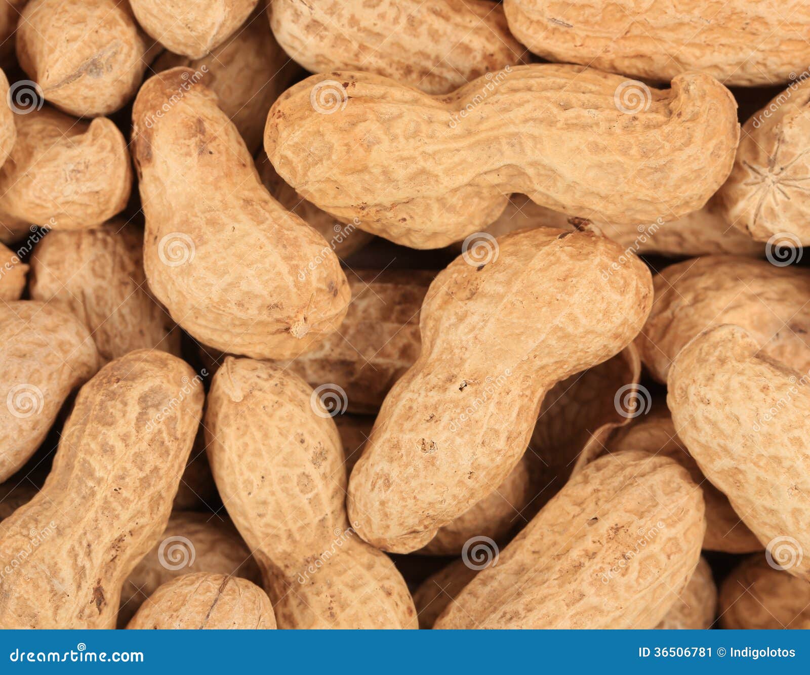 Close up of peanuts bunch. stock image. Image of butter - 36506781
