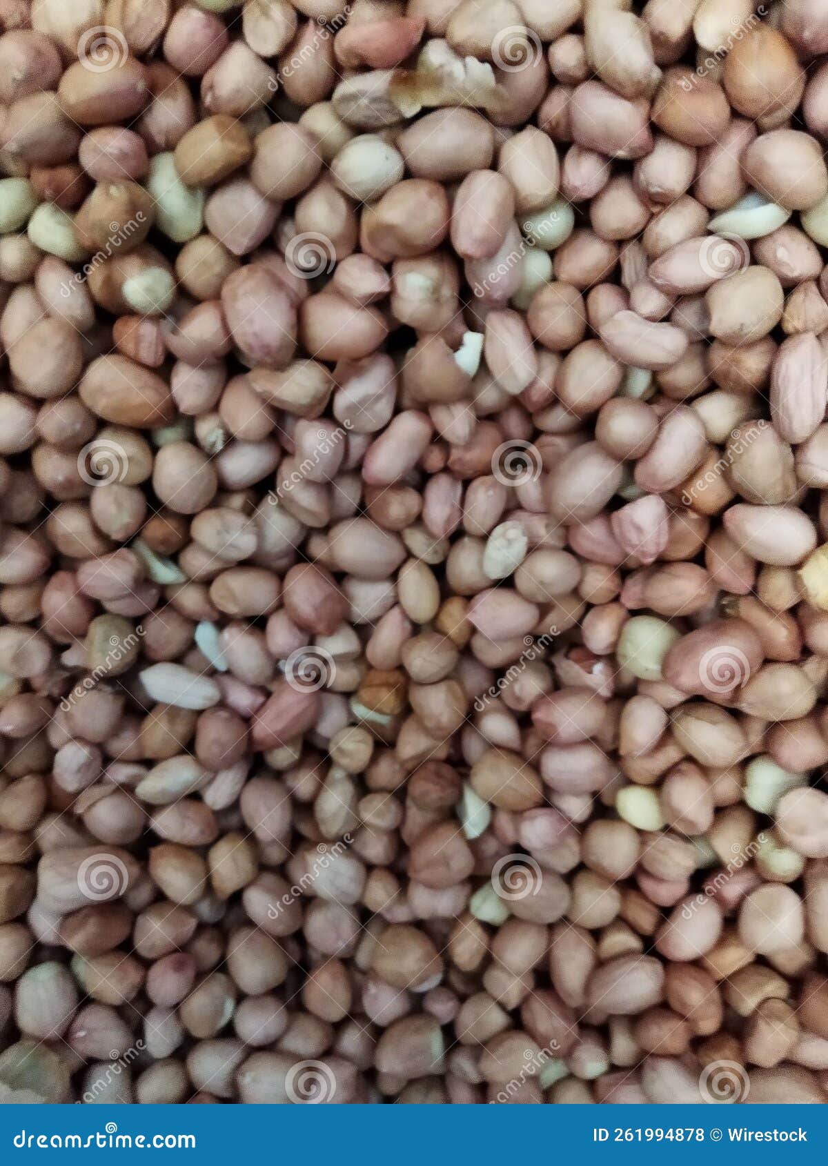 Close Up of Peanuts or Ground Nut B Stock Photo - Image of nature, food ...