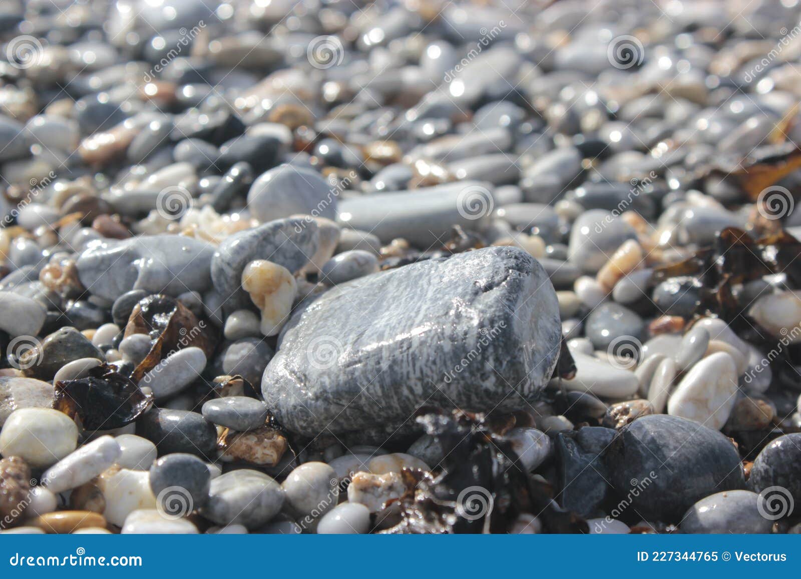 Close Up Pebble on Lots of Little Pebbles Stock Image - Image of ...