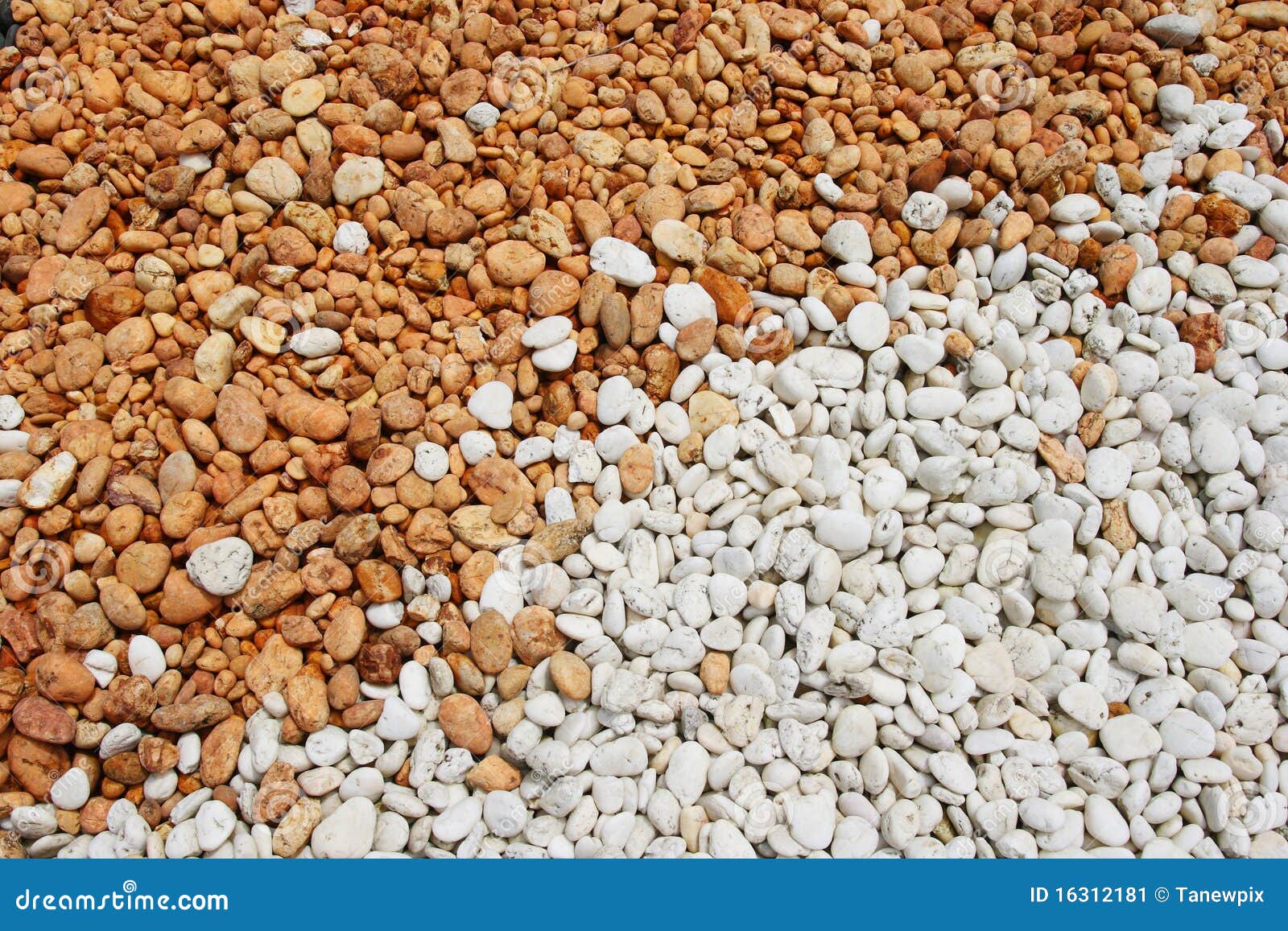 Close up of pebbles stock image. Image of beach, grey - 16312181