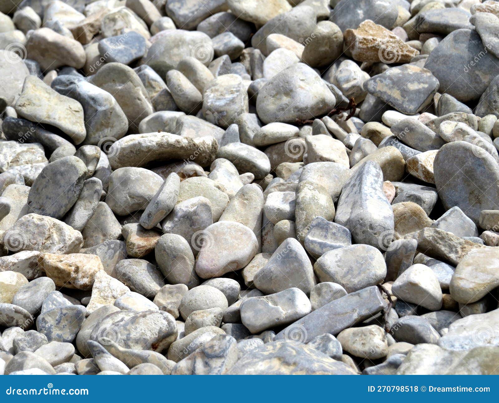 Pebbles on a river bank stock photo. Image of rocks - 270798518