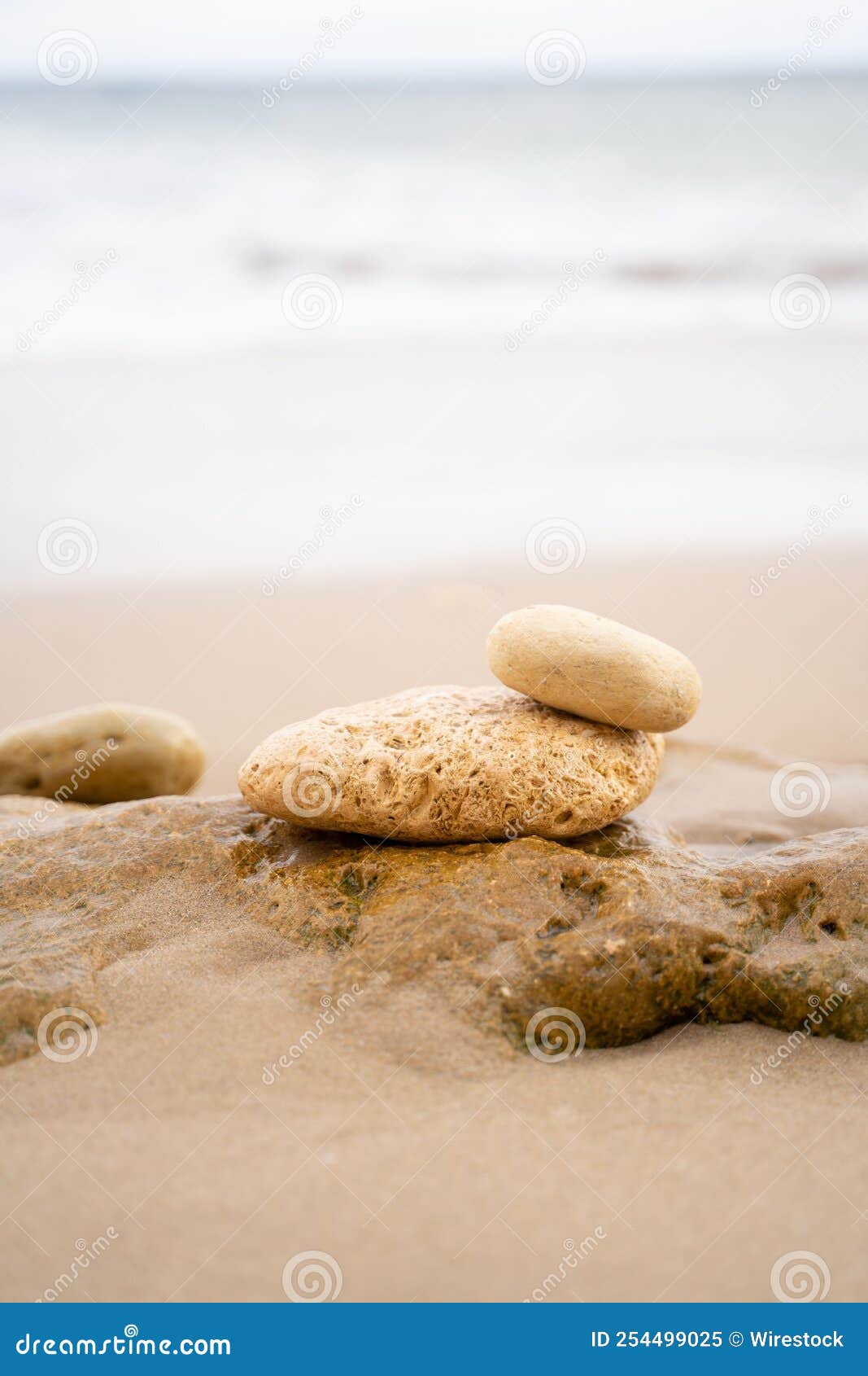Close-up of Pebbles on a Sandy Beach Stock Image - Image of sandy ...