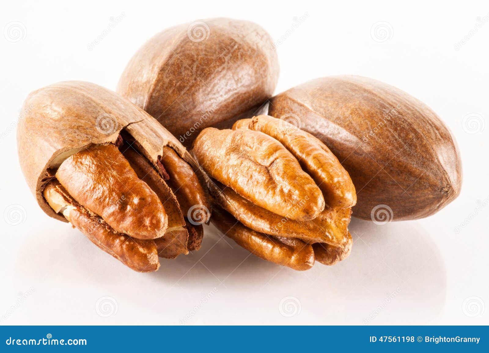 Close up of pecan nuts stock photo. Image of vitamins - 47561198