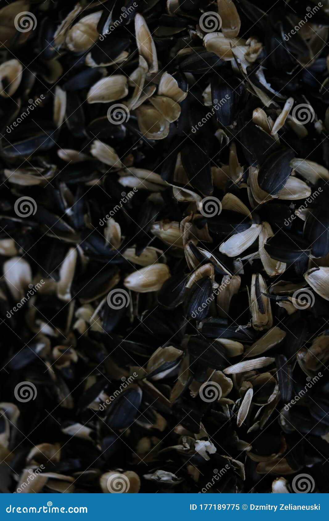 Close-up of Peel of Sunflower Seeds. Waste from Seeds Background Stock ...