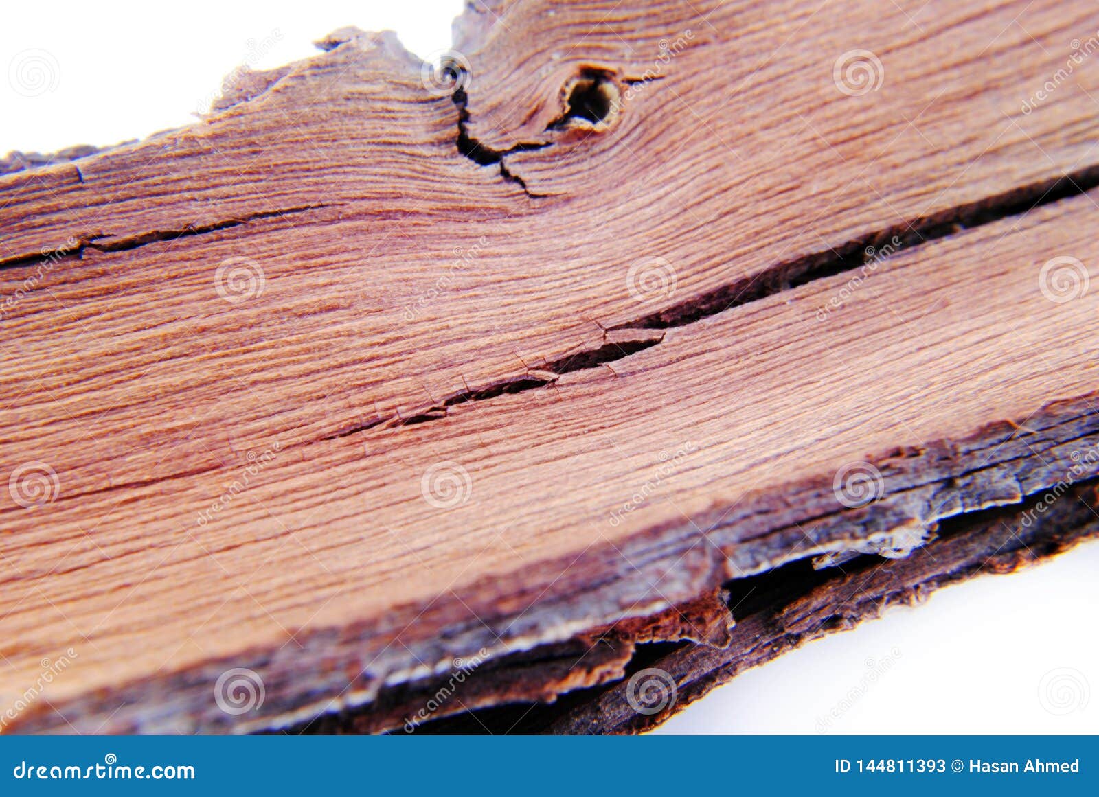 Close Up Peel Tree Isolated Background Stock Image - Image of grain ...