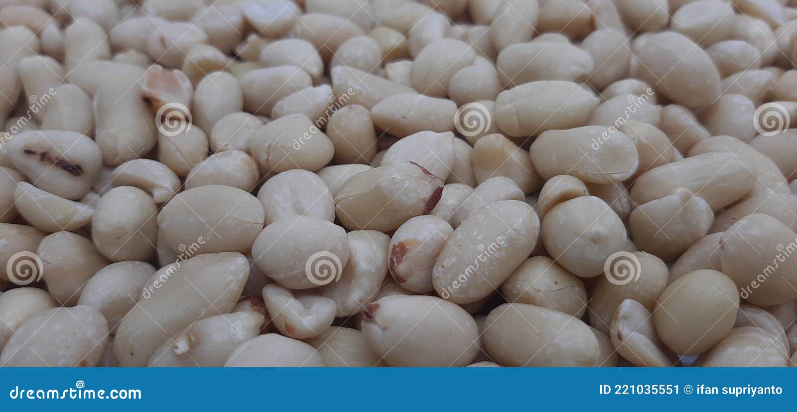 Close-up of Peeled, Skinless Peanuts Stock Image - Image of flower ...