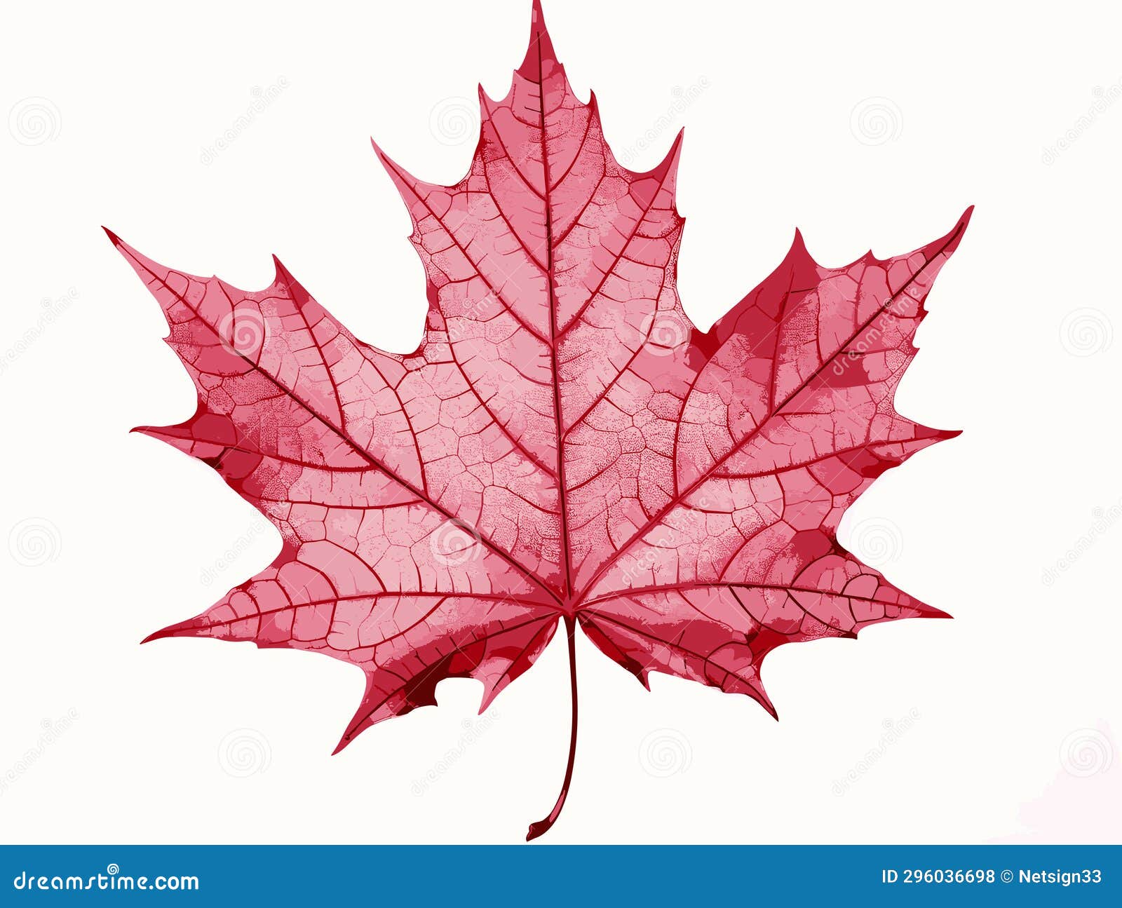 Close-up of a Perfect Red Maple Leaf in Hand-drawn Style Stock Vector ...