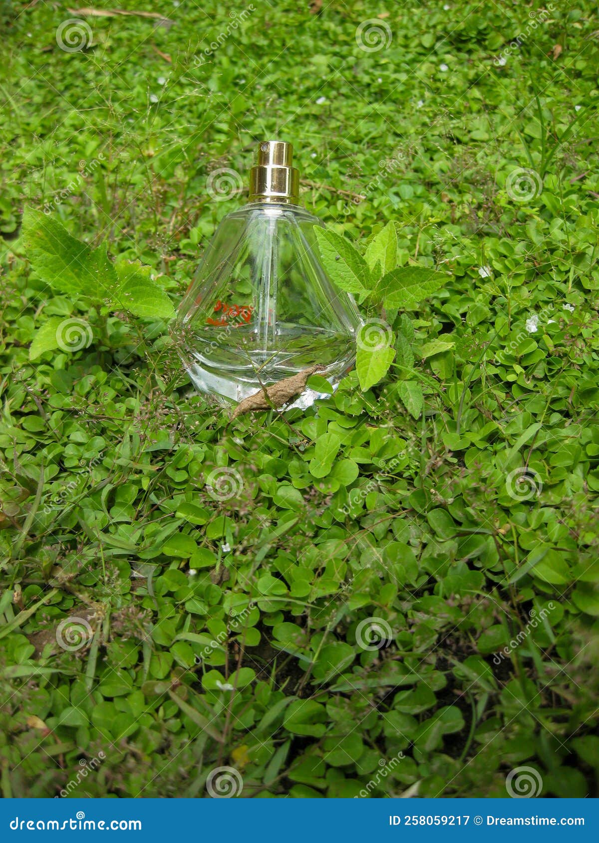 Close-up of Perfume Bottle on Green Grass Stock Image - Image of jungle ...