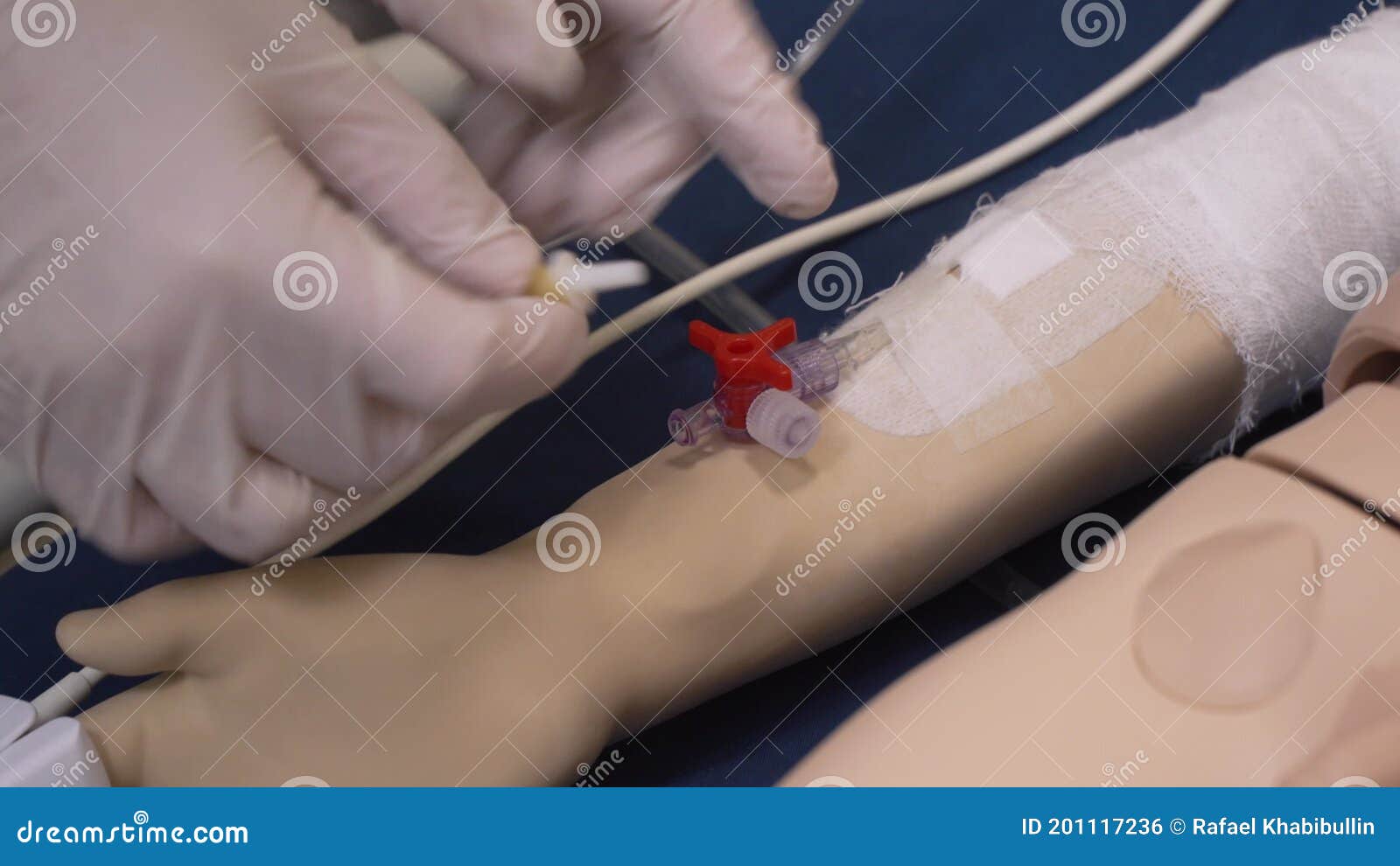 Close-up, a Peripheral Venous Catheter is Installed on Simulation Doll ...