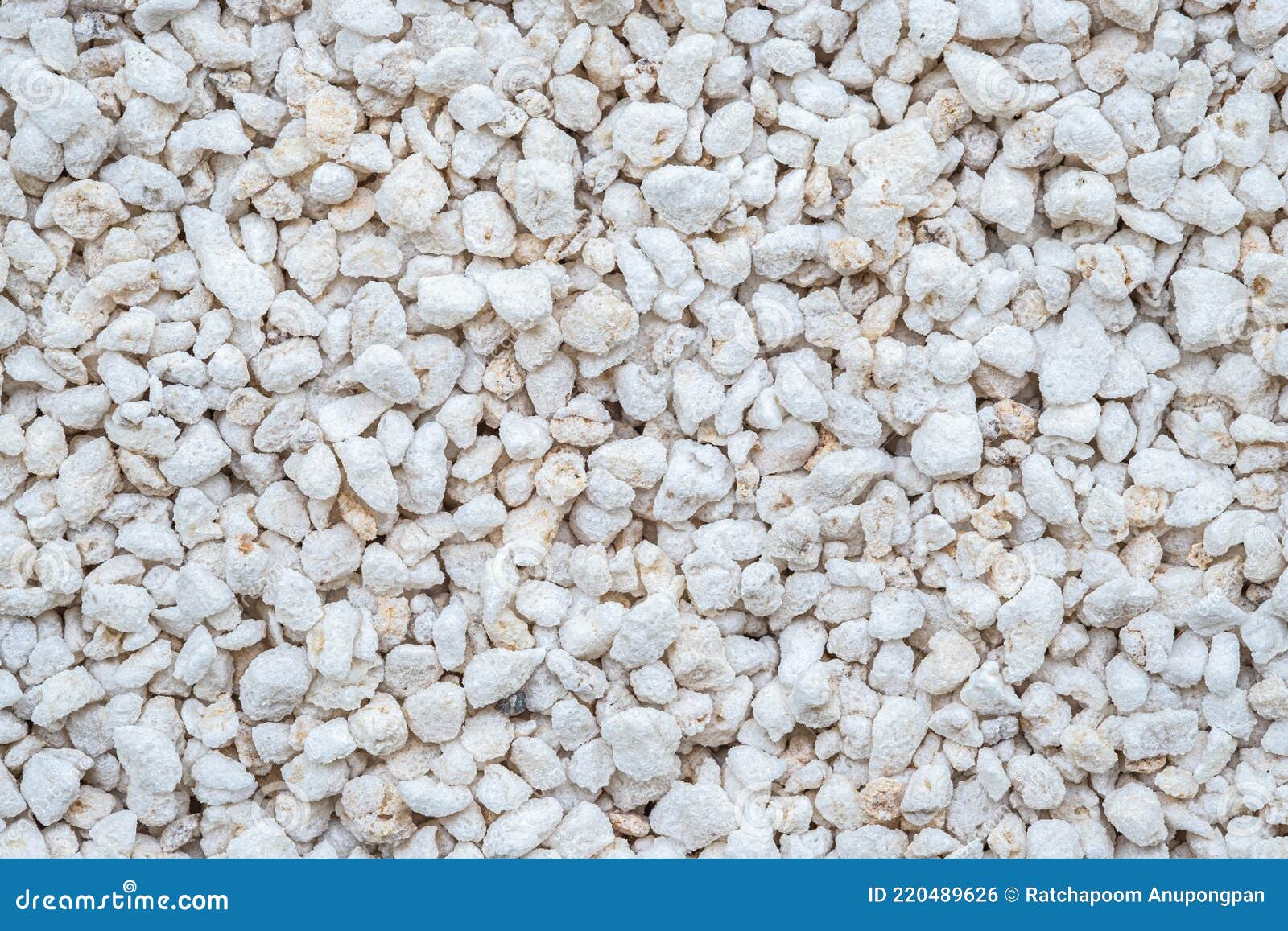 Close Up of Perlite, Potting Cactus and Succulent Material Stock Photo ...