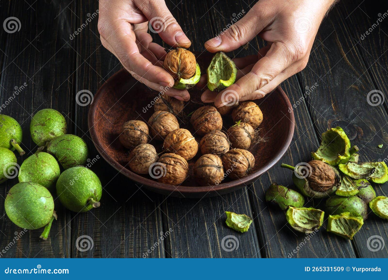 Close-up of a Person Hands Peeling Nuts from a Green Peel. Working ...