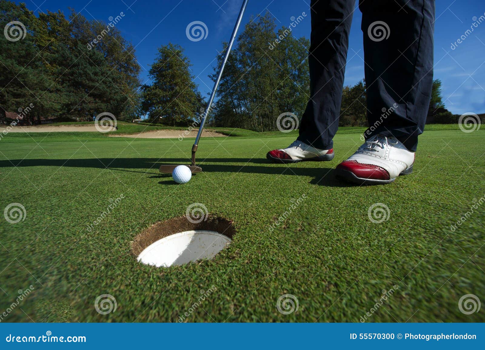Close Up of Person Putting Golf Ball on Golf Course Stock Photo - Image ...