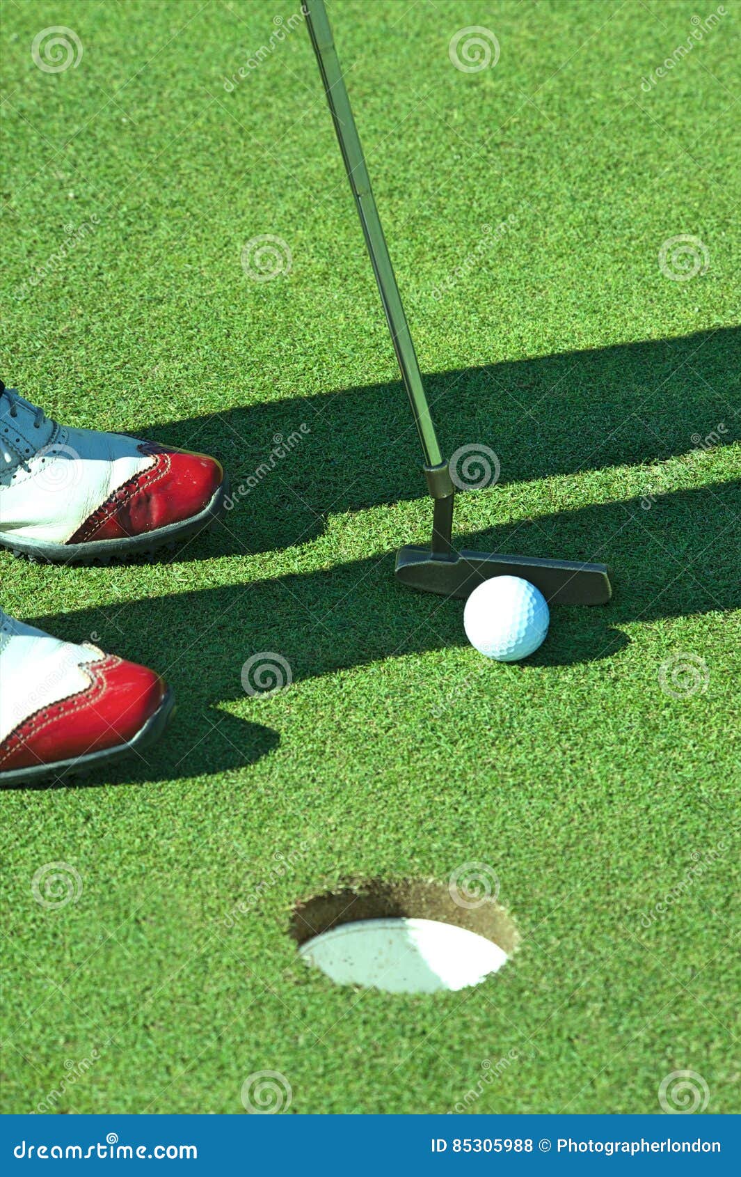 Close Up of Person Putting Golf Ball on Golf Course Stock Photo - Image ...