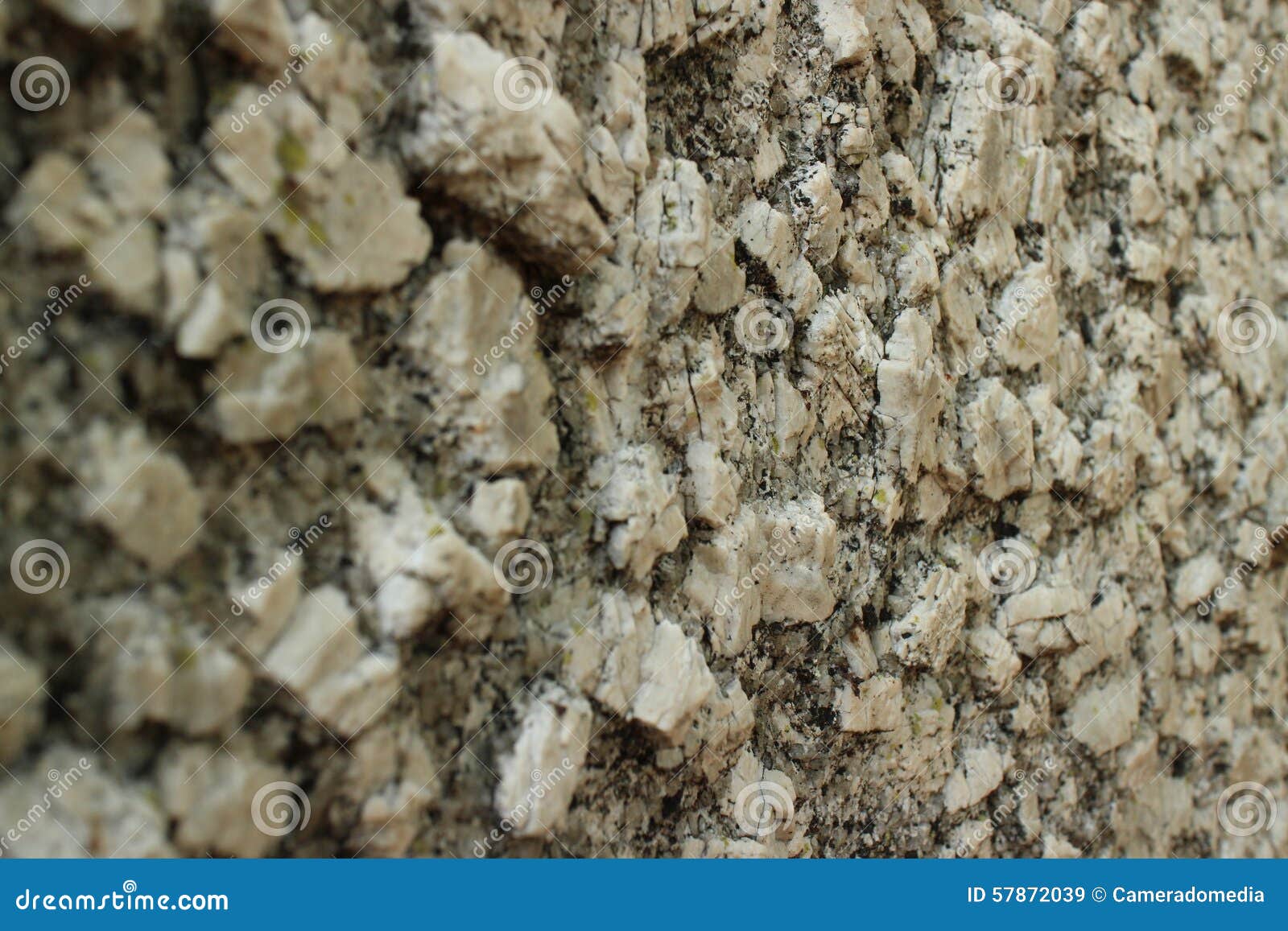 Close Up Perspective of Igneous Rock Surface Texture (wider) Stock ...