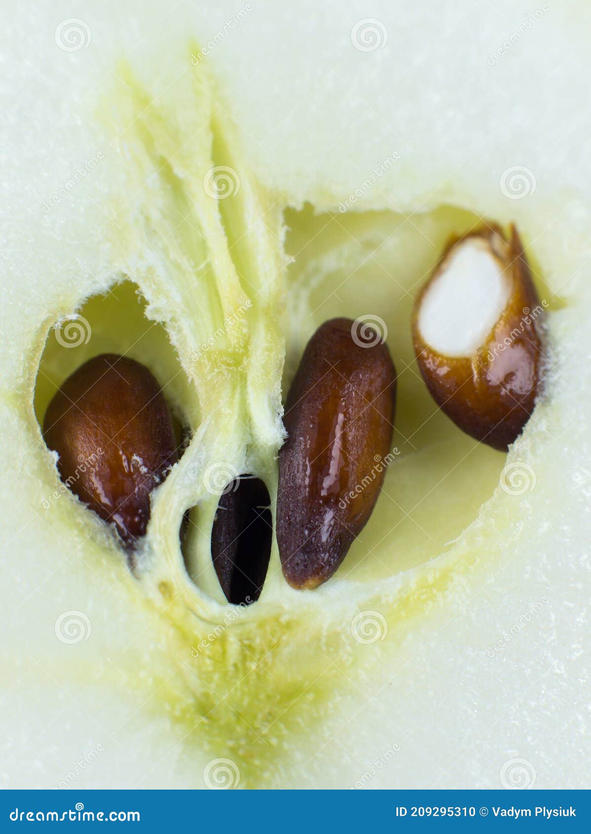 Close Up Photo of Apple on White Background. Apples Fruit Cut in Half ...