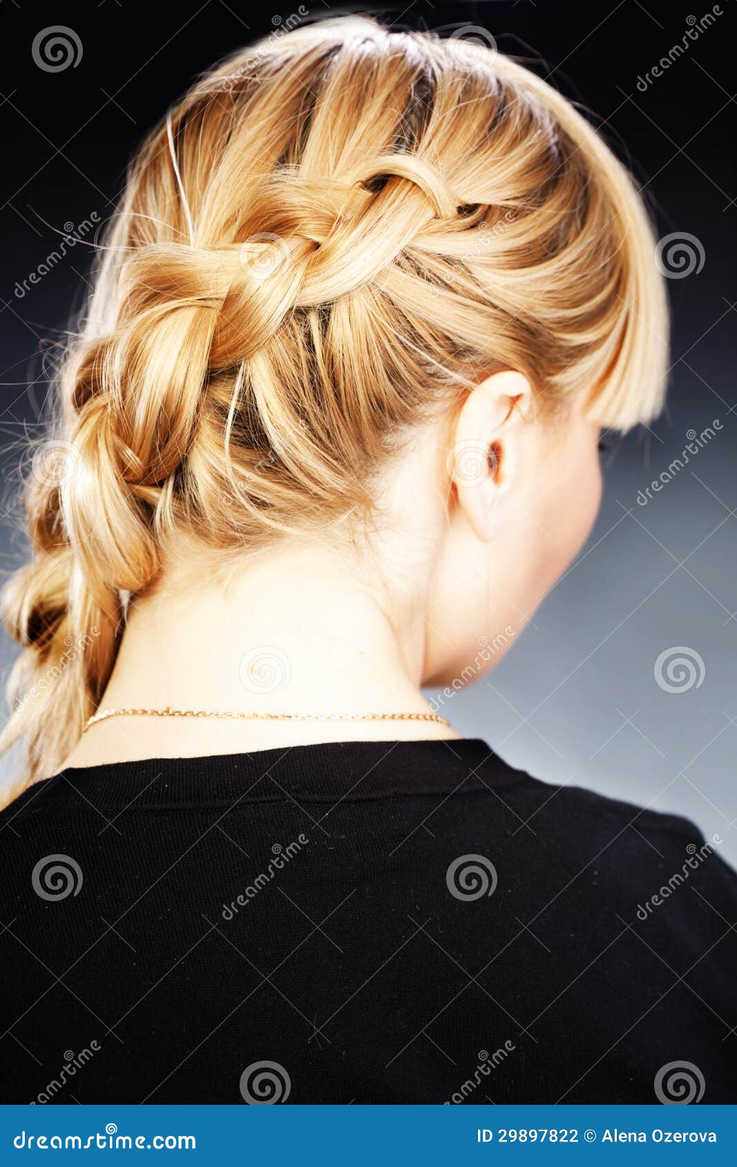Hairdo stock photo. Image of hairstyle, young, elegant - 29897822